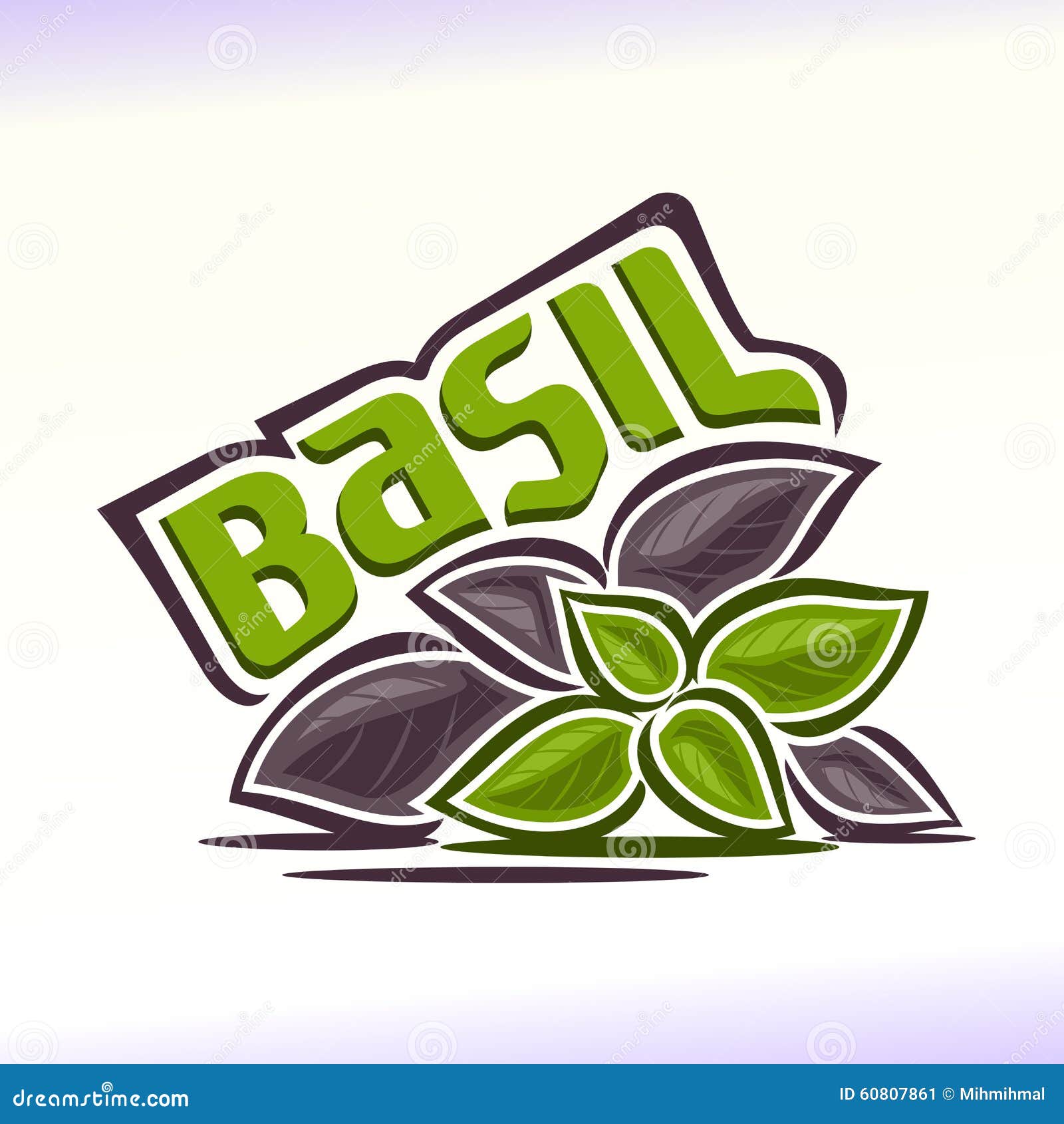 Vector Illustration on the Theme of Basil Stock Vector - Illustration ...