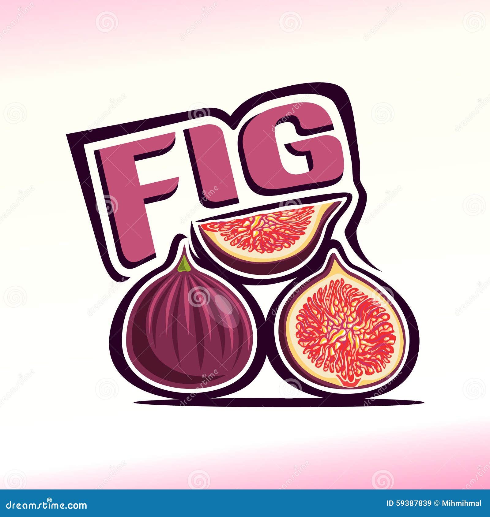 Vector Illustration on the Theme of Fig Stock Vector - Illustration of ...