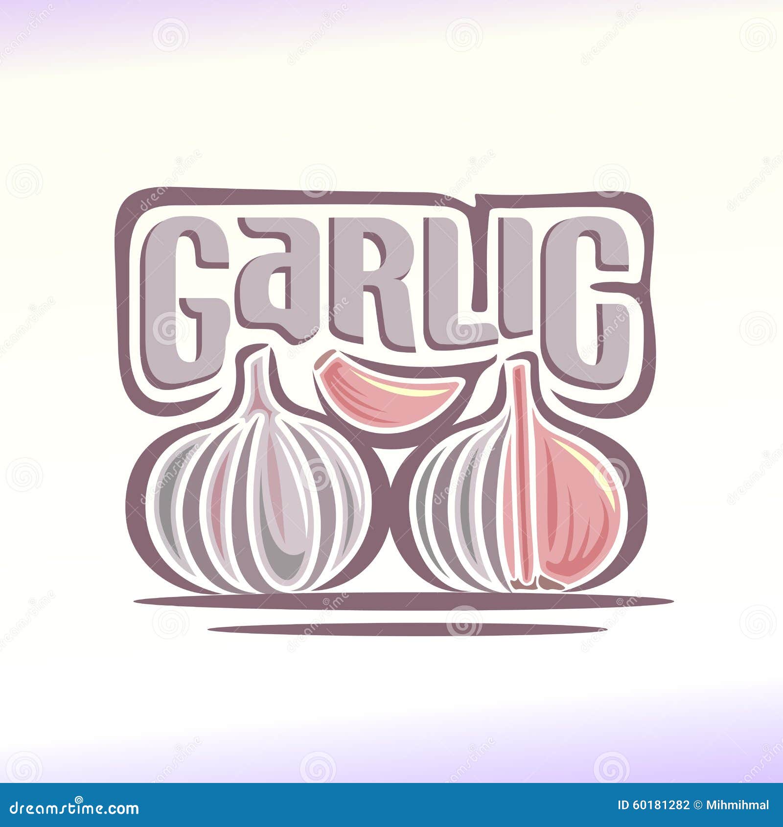 Vector Illustration on the Theme of Garlic Stock Vector - Illustration ...