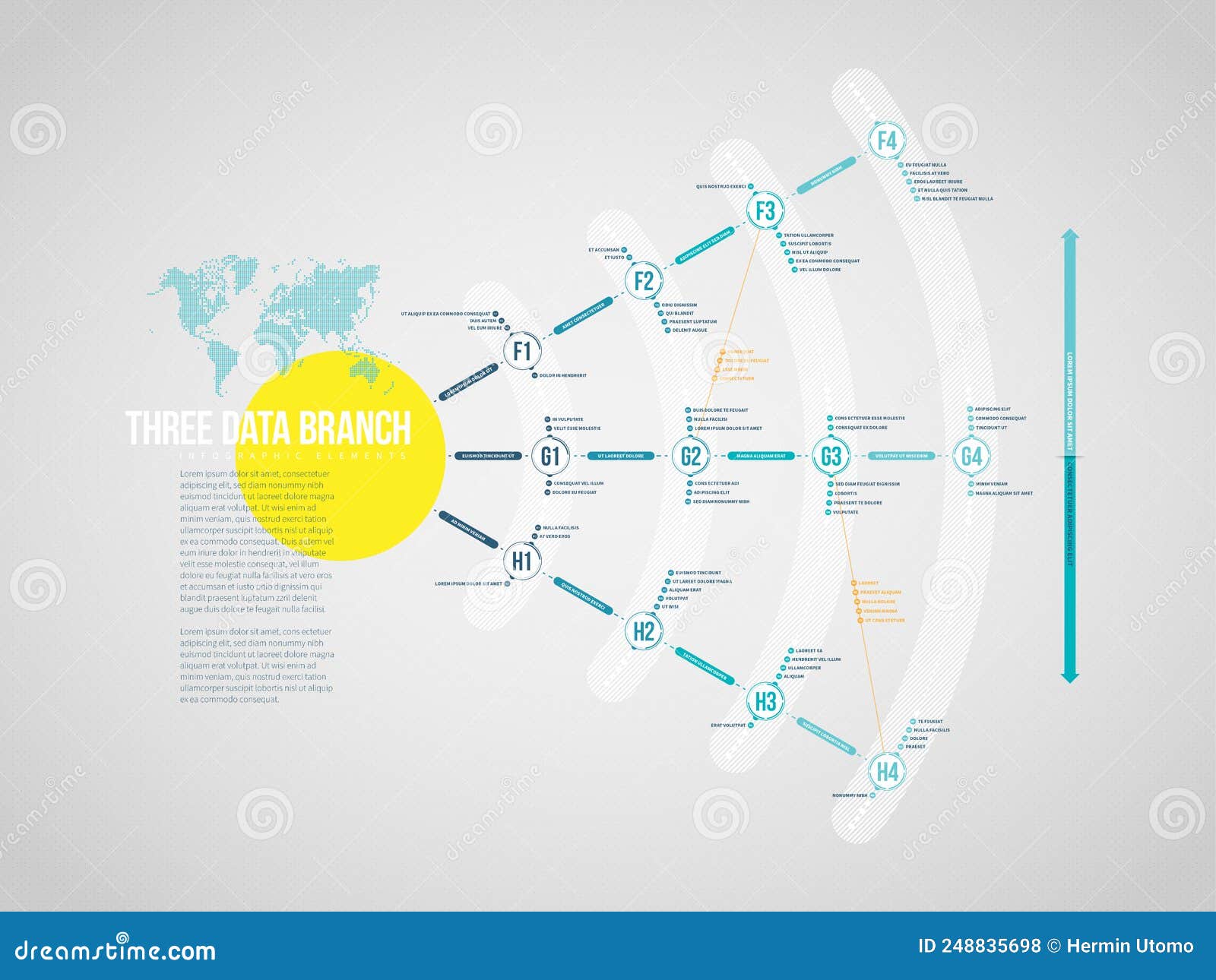 Three Data Branch Infographic Stock Vector - Illustration of showcase ...