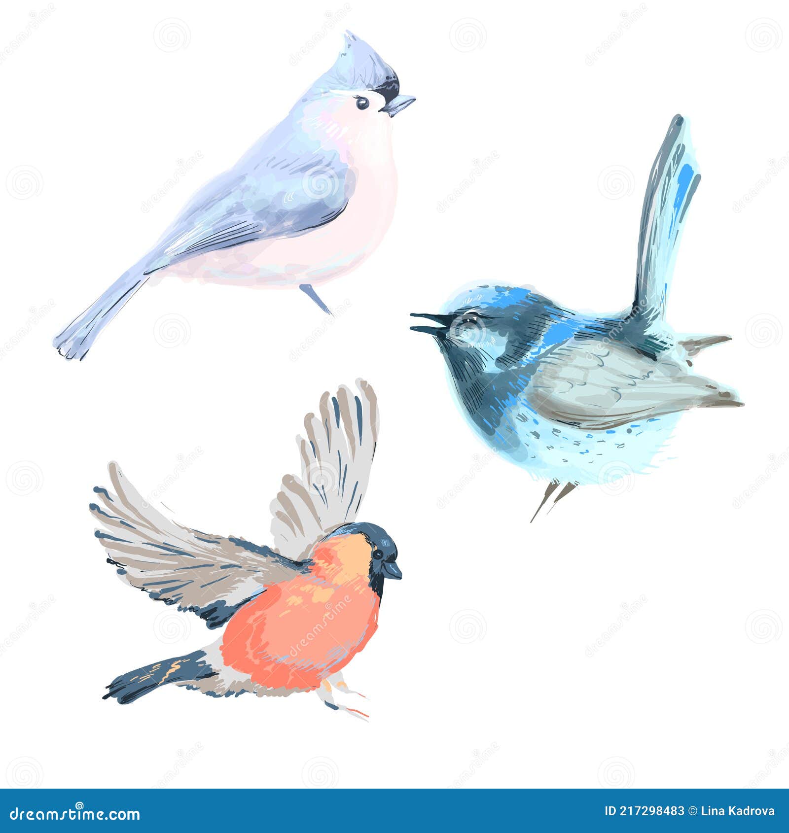 Vector Illustration of Three Different Birds Isolated on White Stock ...