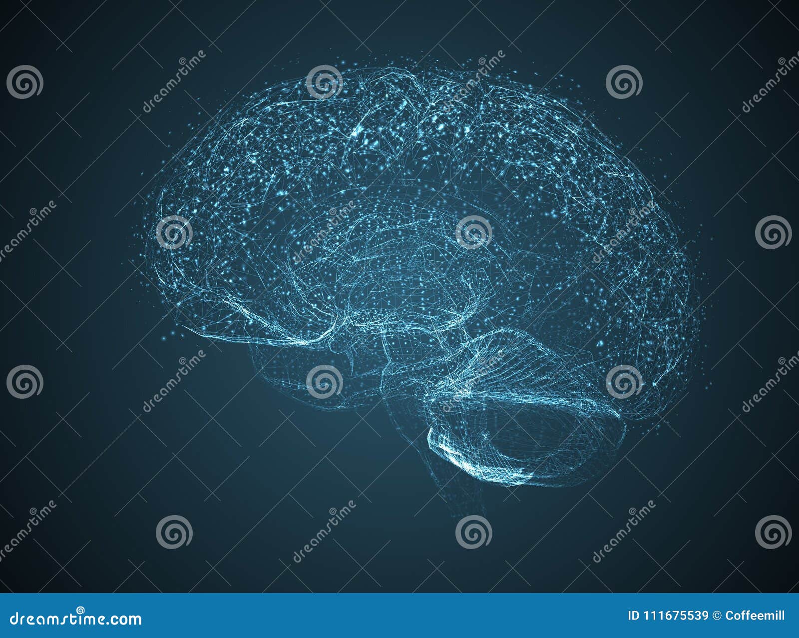 Vector Illustration, Three-dimensional Brain Stock Vector ...