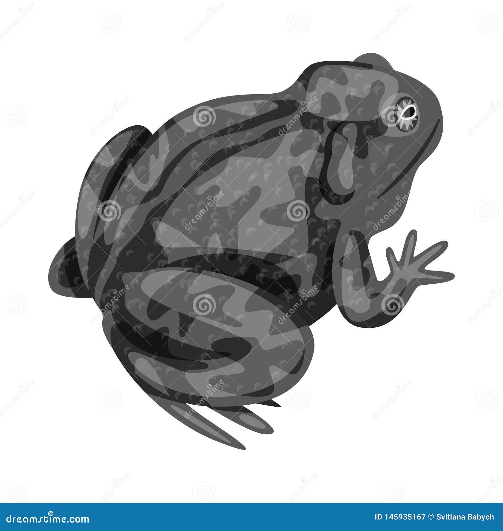 Vector Design of Toad and Biology Symbol. Set of Toad and Tropical ...