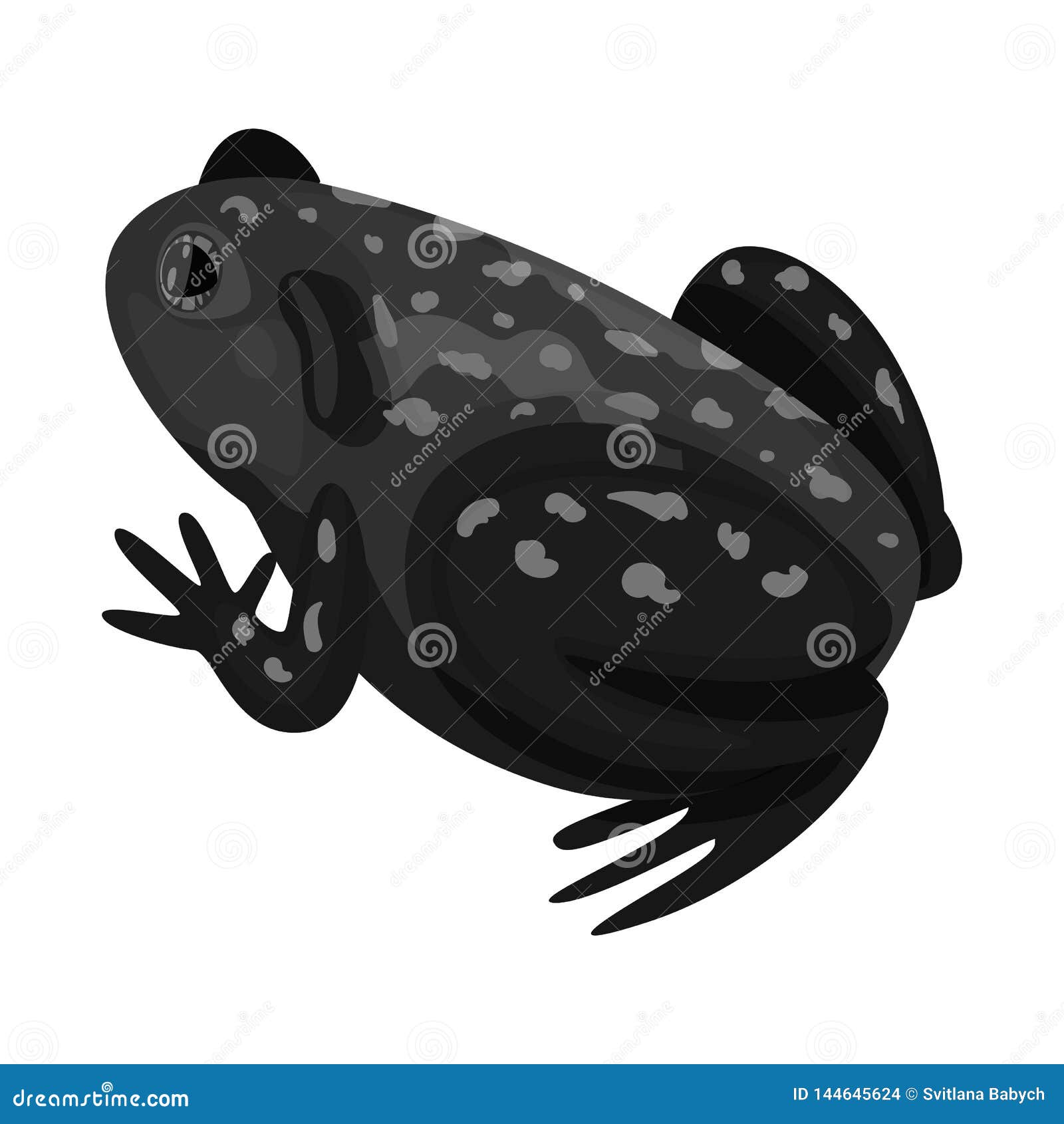 Vector Design of Toad and Tropical Icon. Collection of Toad and Ecology ...