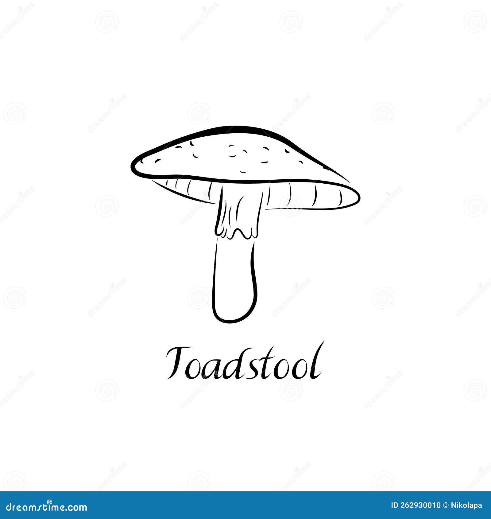 Vector Illustration of Toadstool. Stock Vector - Illustration of ...