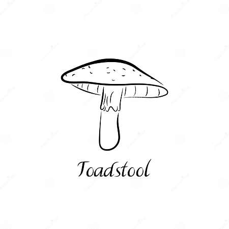 Vector Illustration of Toadstool. Stock Vector - Illustration of ...