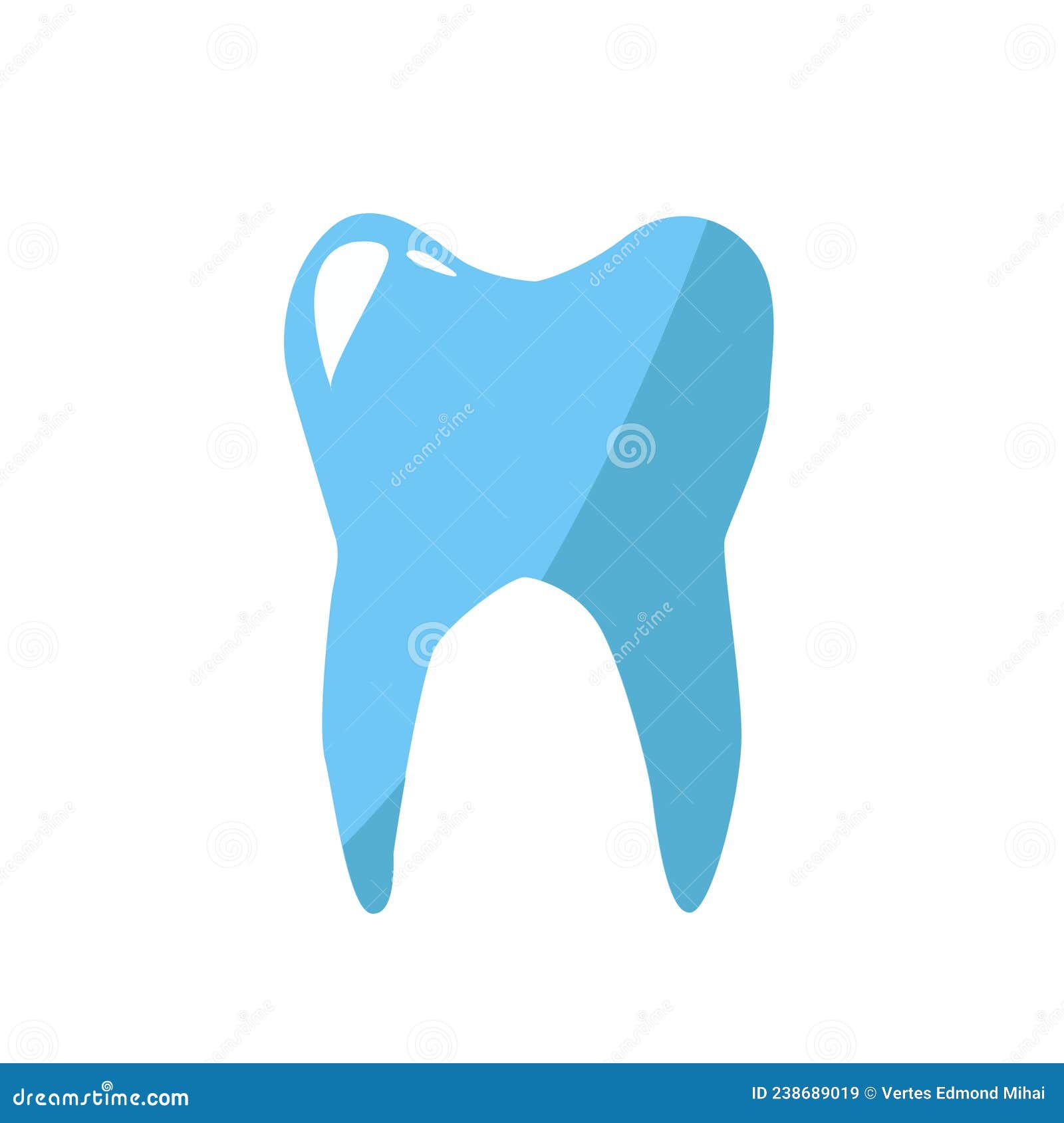 Vector Illustration of Tooth Stock Vector - Illustration of anatomy ...