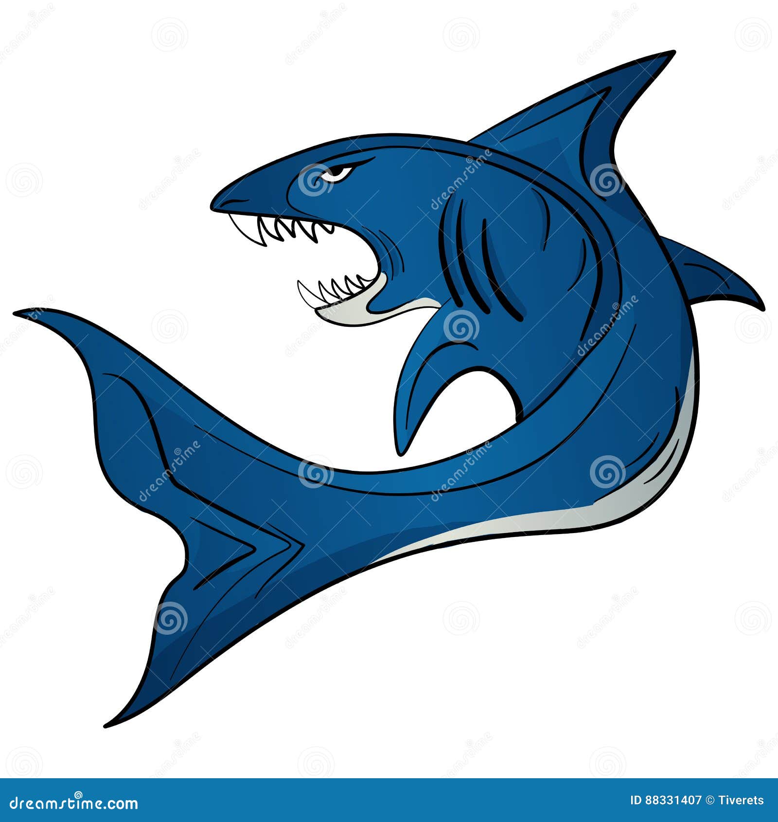 Vector Illustration Toothy White Shark Stock Vector - Illustration of ...