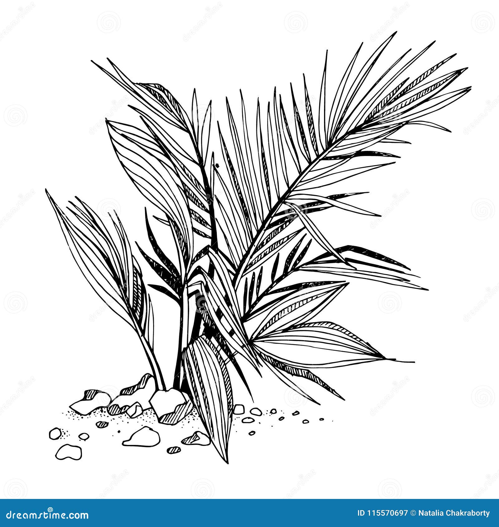Vector Illustration of Topical Palms Stock Vector - Illustration of ...