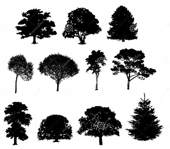 Vector Illustration of Tree Silhouettes Stock Vector - Illustration of ...