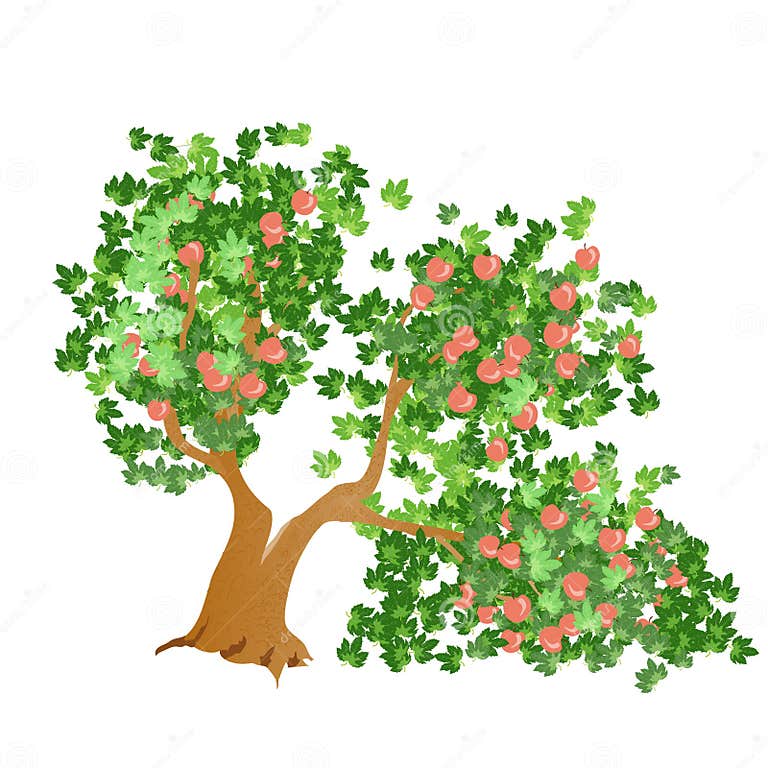 Split tree vector stock vector. Illustration of growth - 302691336