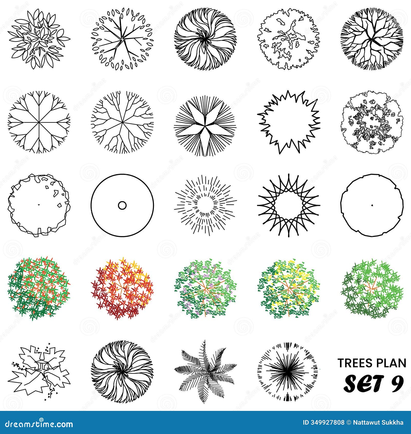 Illustration of Trees Plan Hand Drawn for Architectural and Landscape ...