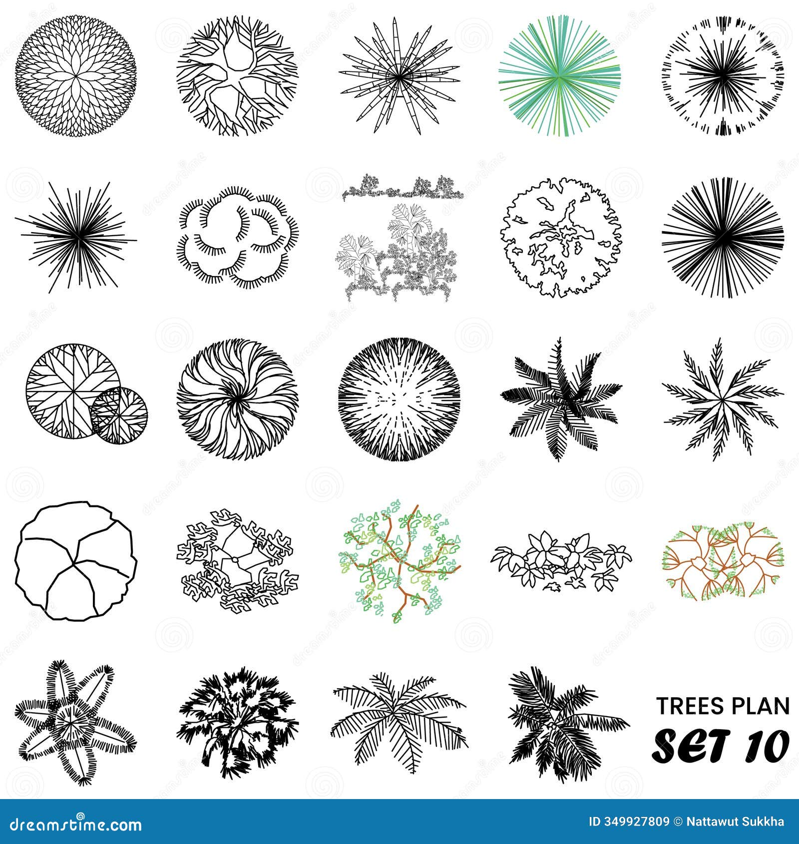Illustration of Trees Plan Hand Drawn for Architectural and Landscape ...