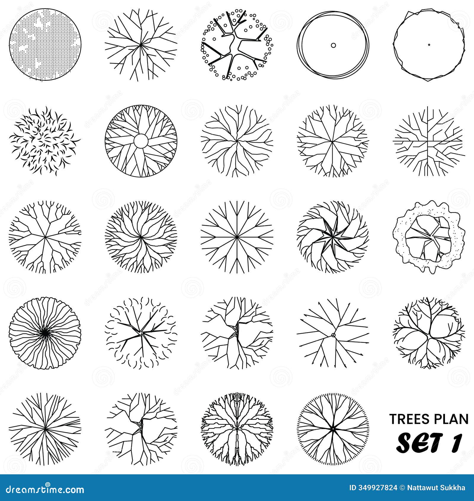 Illustration of Trees Plan Hand Drawn for Architectural and Landscape ...