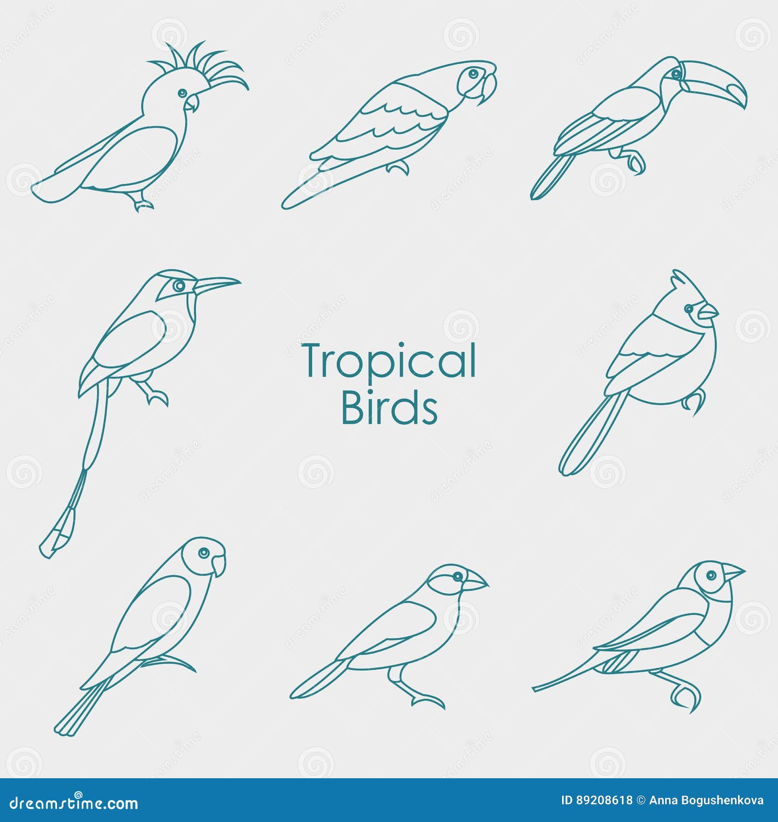 Vector Illustration of Tropical Birds Icon Stock Vector - Illustration ...