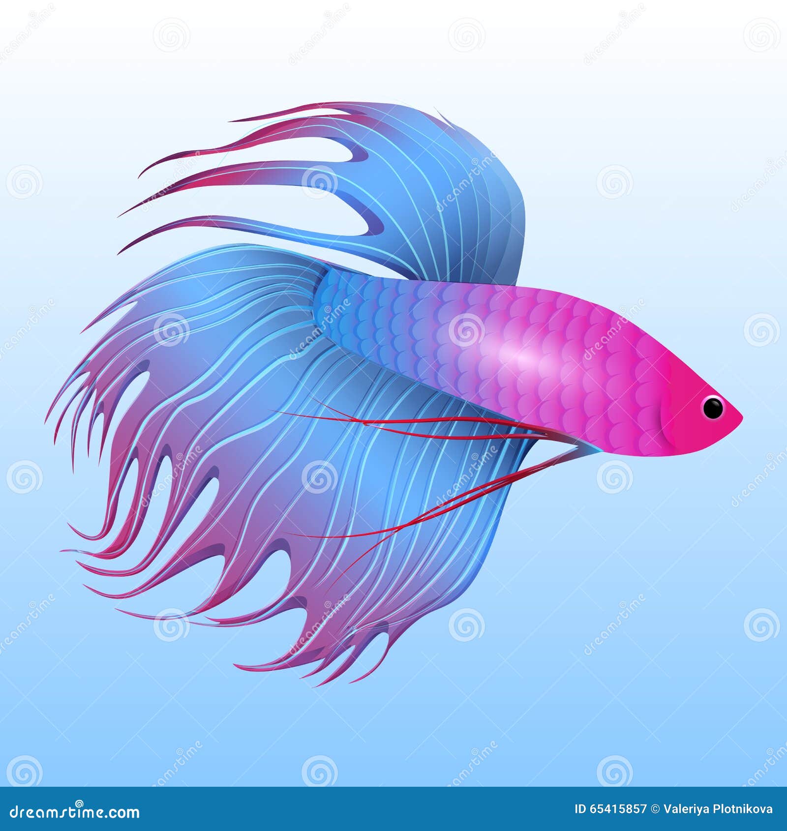 Vector Illustration of Tropical Fish-rooster Stock Vector ...