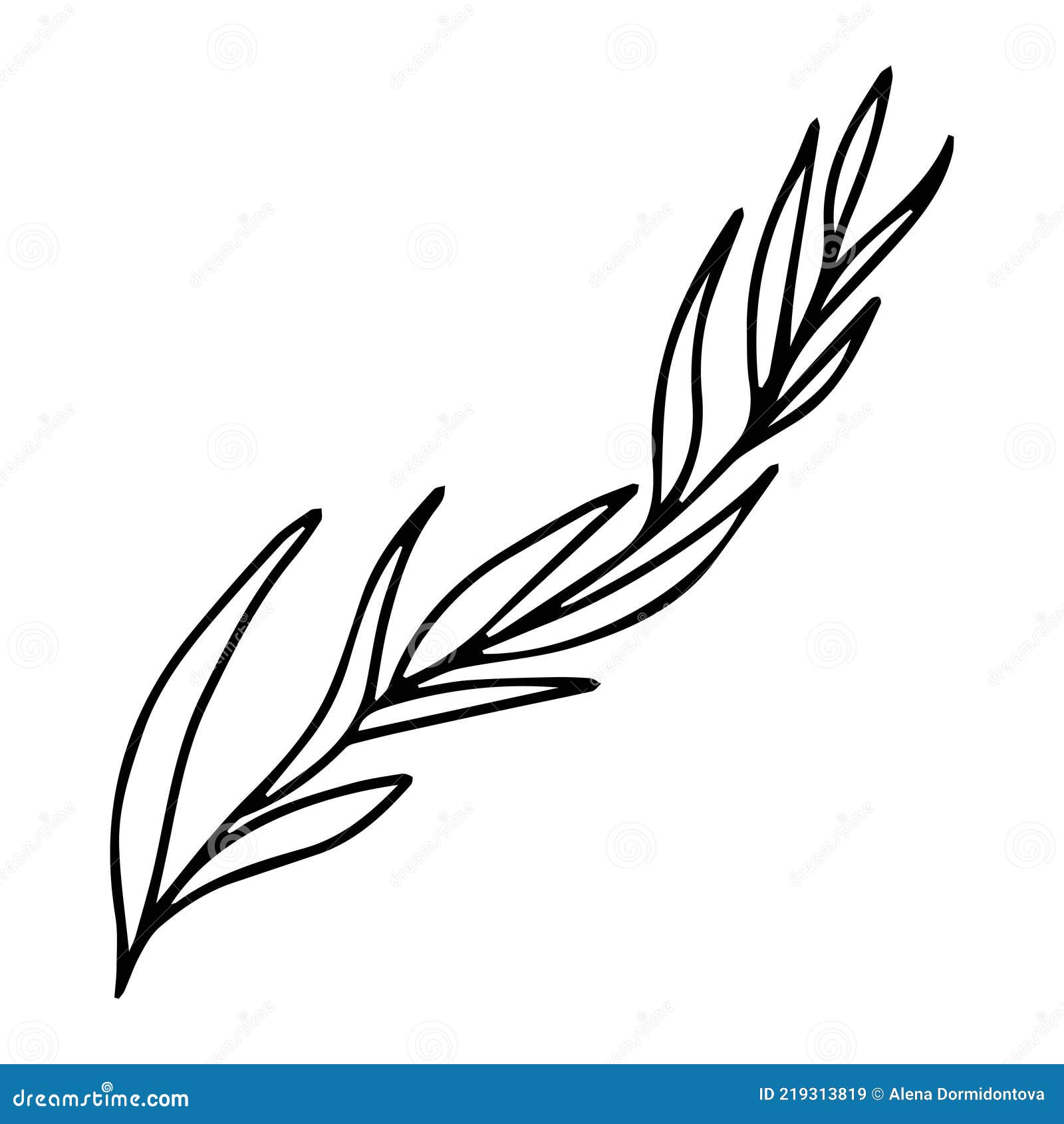 Vector Illustration with a Twig. Doodle Style Plant Vector for Banners ...