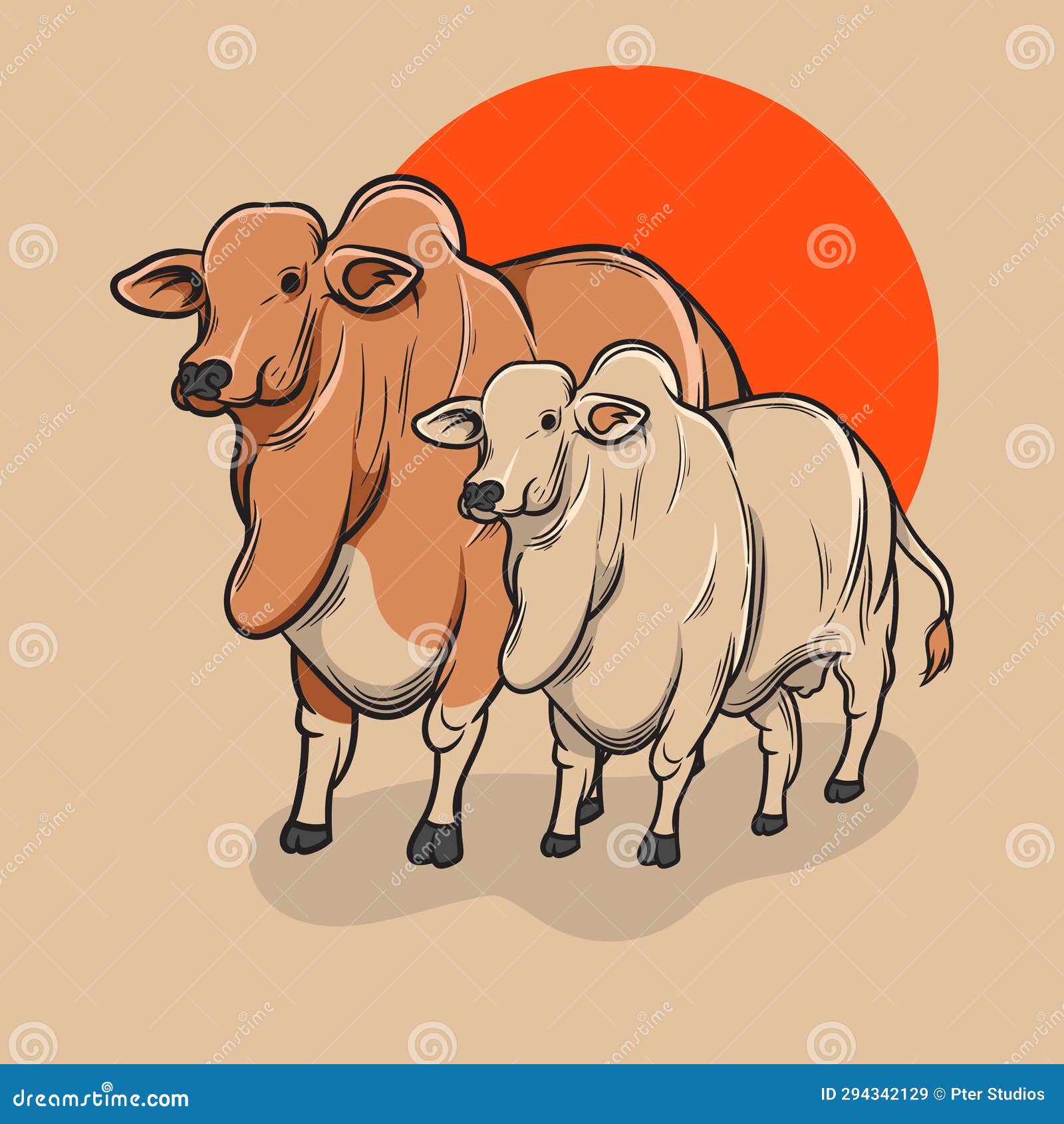 Vector Illustration Of Two Brahman Cattle | CartoonDealer.com #294342129