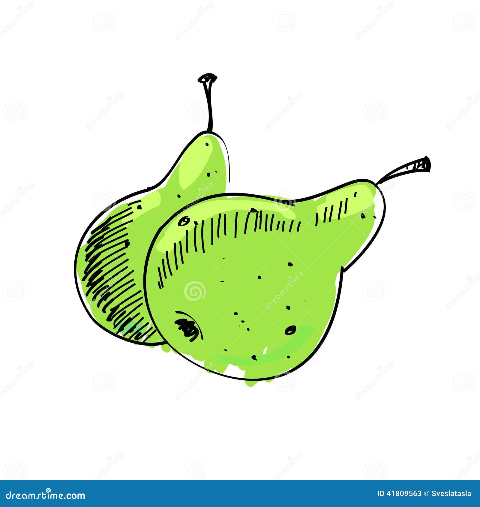 Vector Illustration of Two Pears Stock Vector - Illustration of habit ...