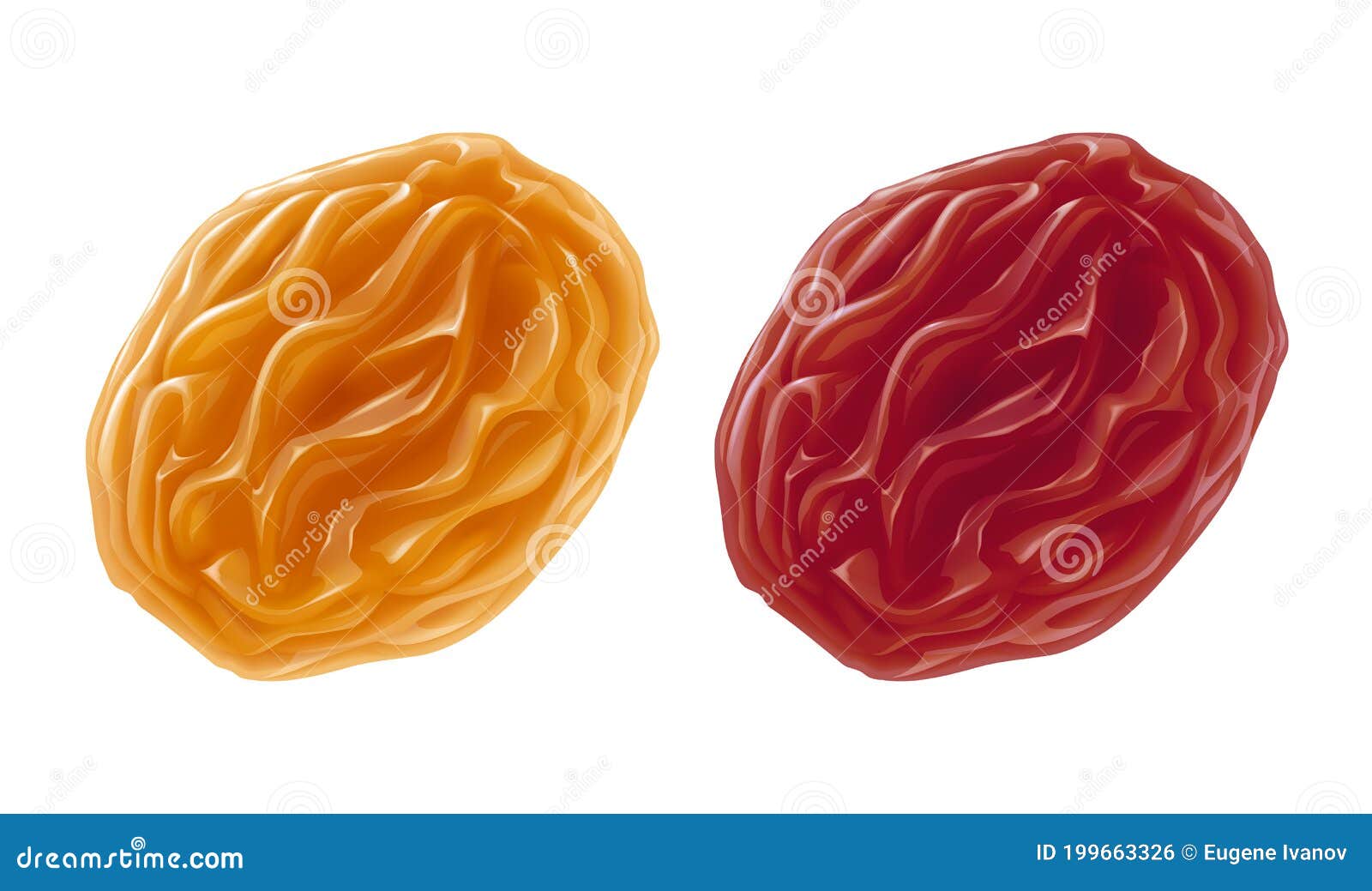 Raisin stock vector. Illustration of graphic, dessert - 199663326