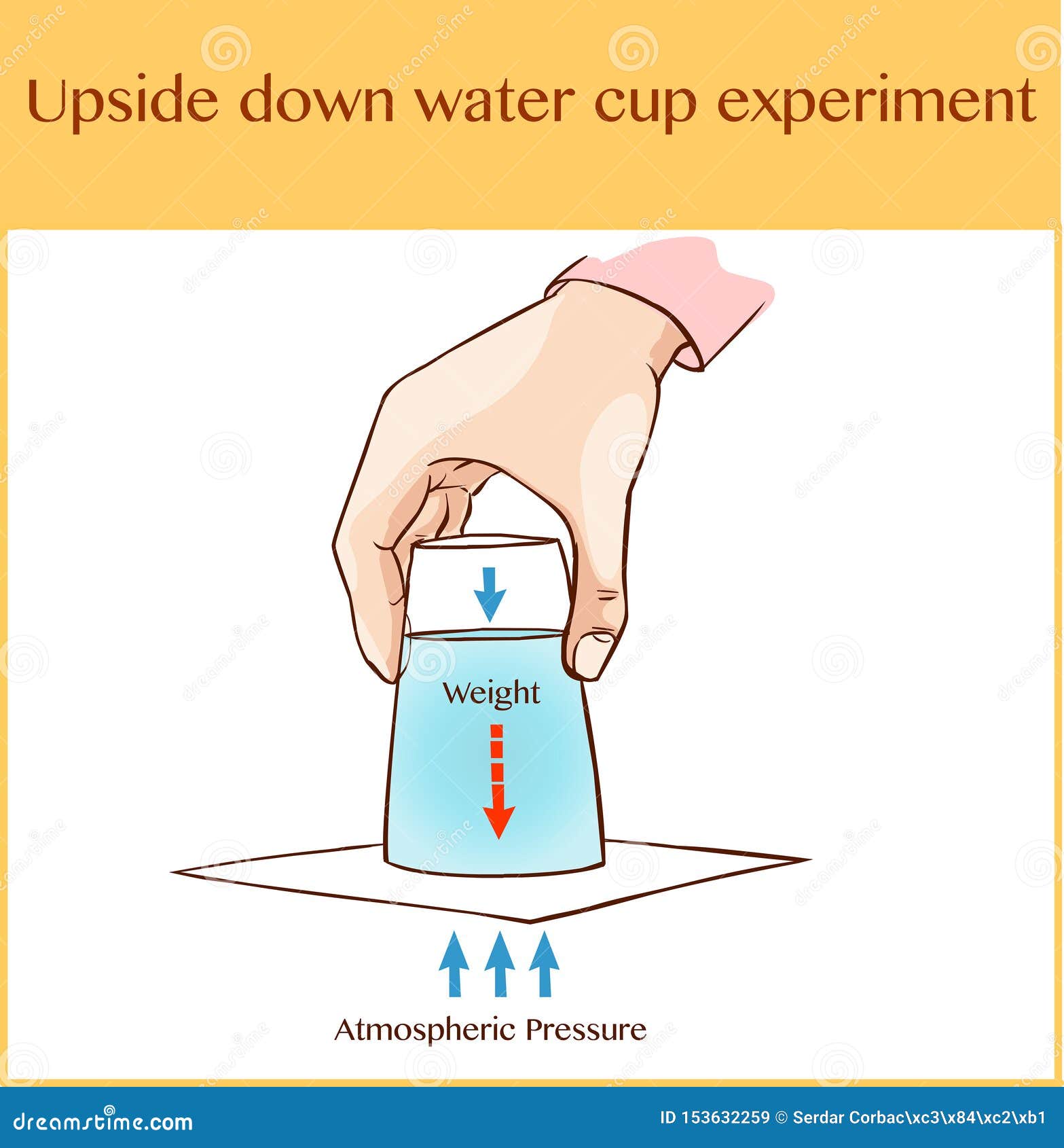 Vector Illustration of a Upside Down Water Cup Experimen Stock Vector ...