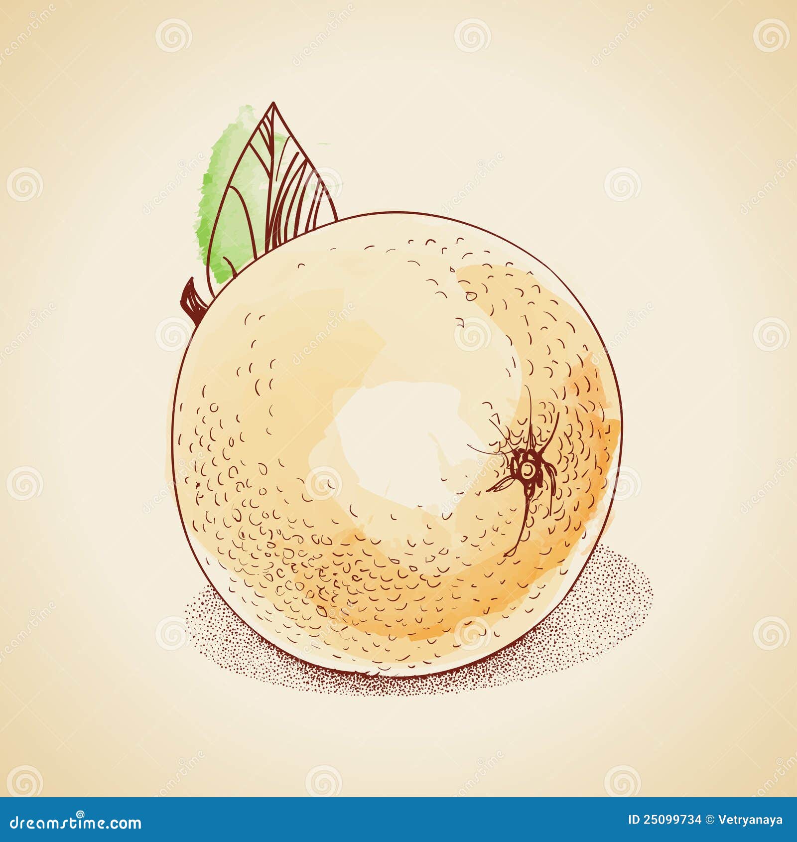 Vector Illustration of Vintage Orange Stock Vector - Illustration of ...