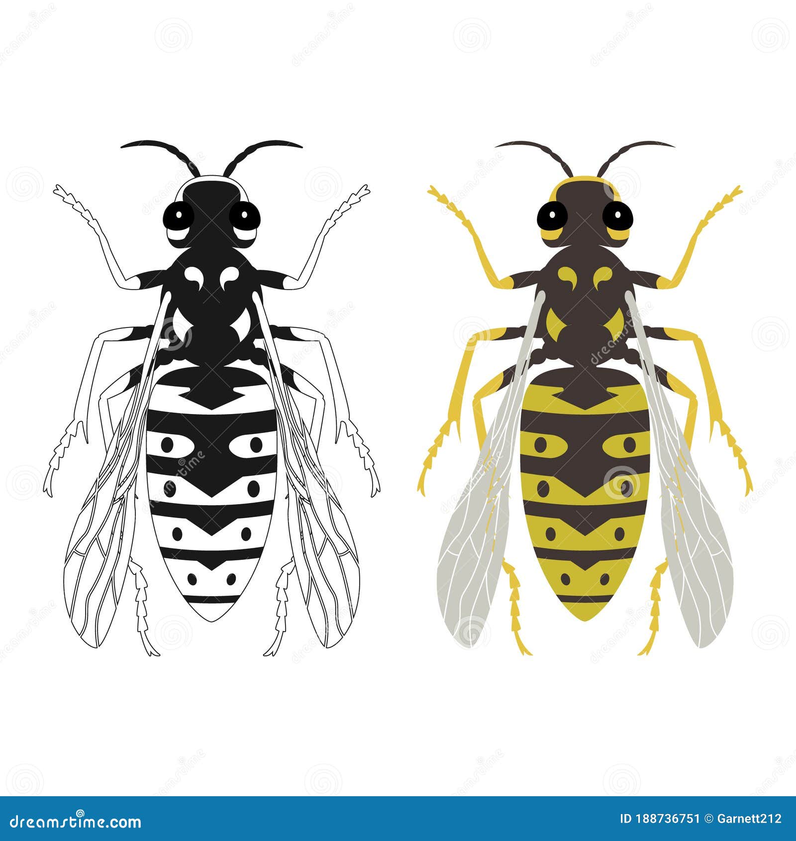 Vector Illustration of a Wasp in Color and Black and White. Insect ...