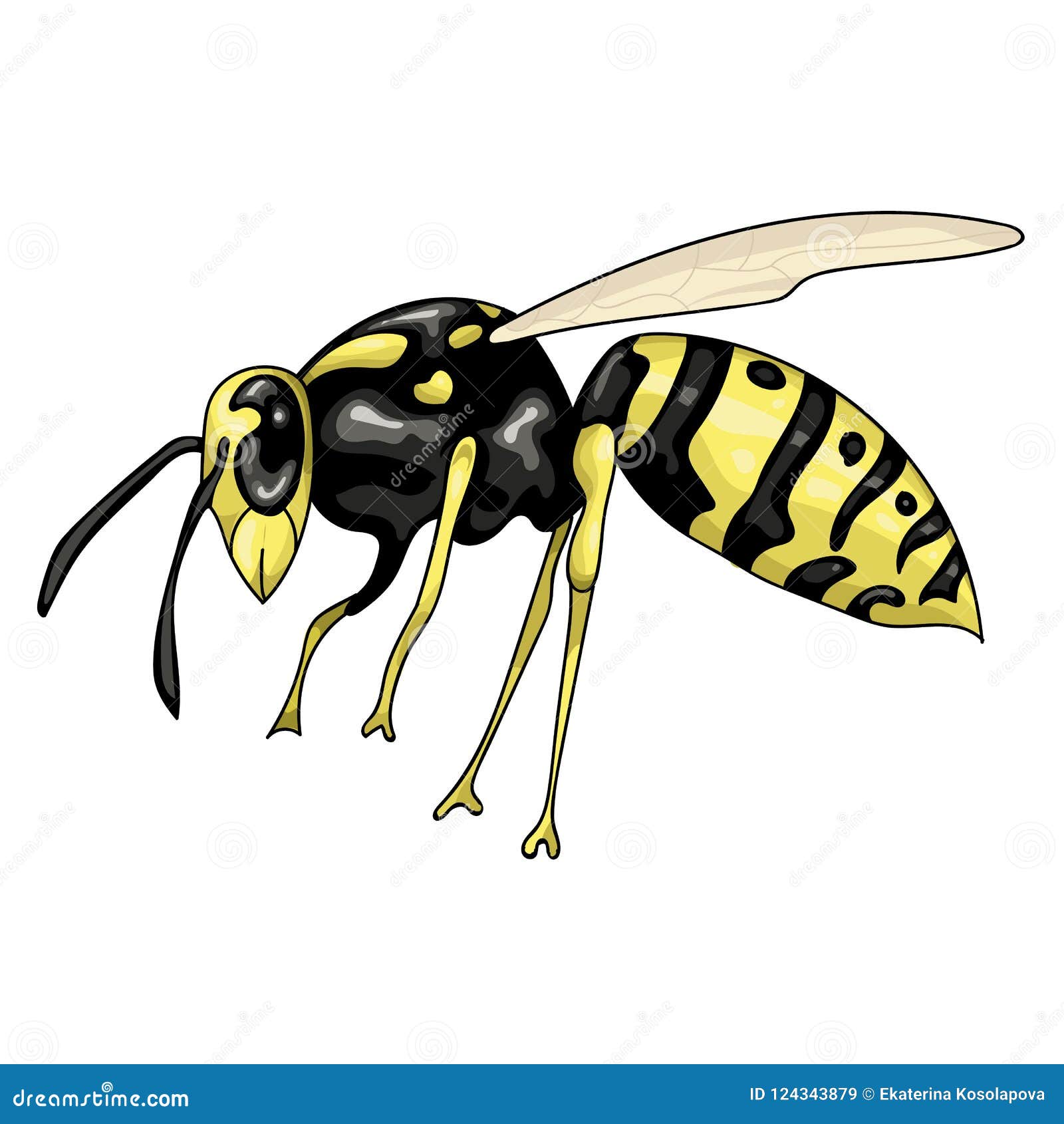 Vector Illustration A Wasp Realistic | CartoonDealer.com #124343879