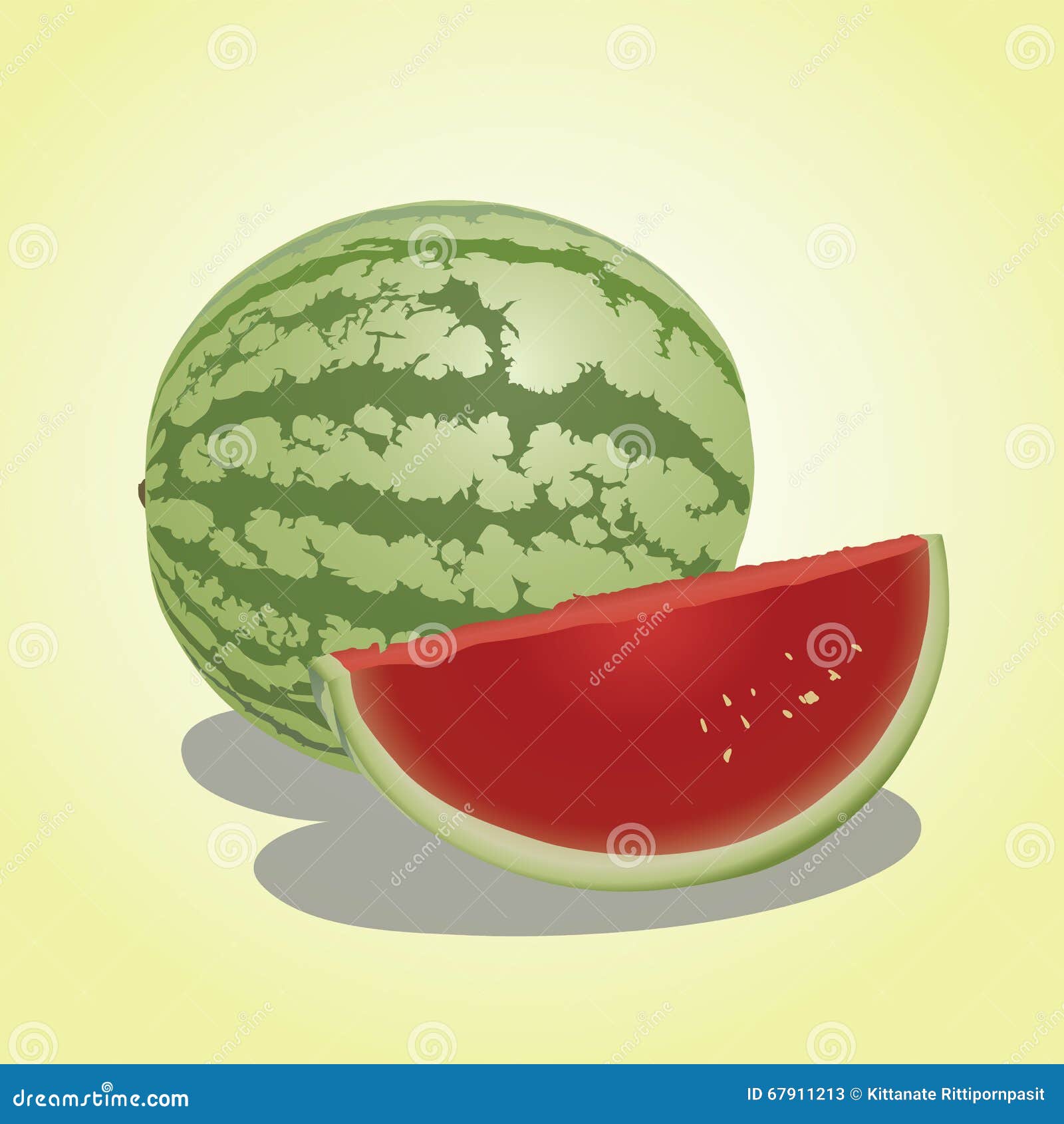 Vector Illustration - Watermelon Stock Vector - Illustration of striped ...