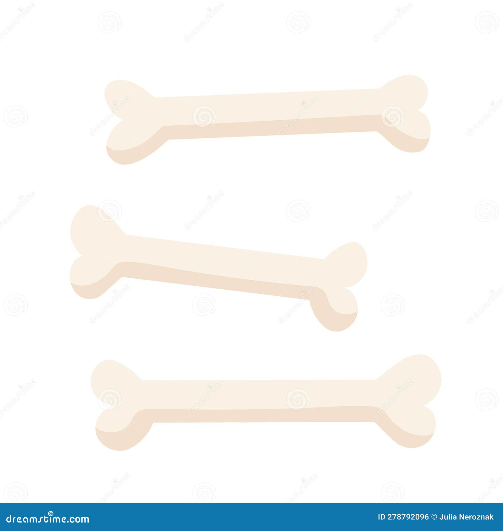 Vector Illustration of the White Bones Isolated Stock Vector ...