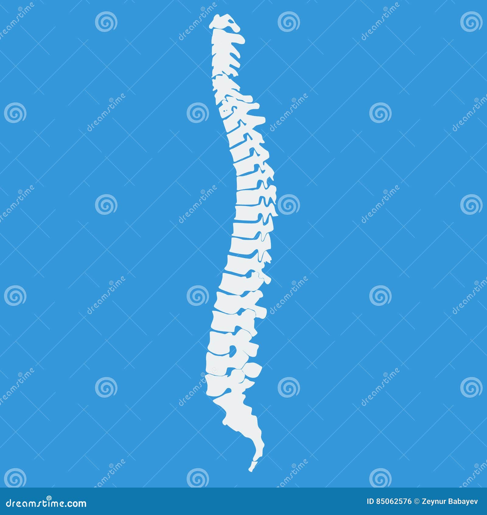 Vector Illustration White Spine Diagnostic Symbol Stock Vector ...