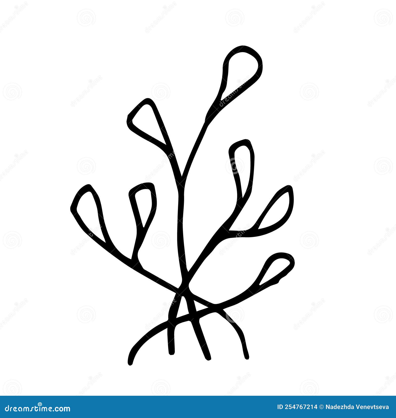 Vector Illustration of a Wild Shrub. Line Art Botanical Stock Vector ...