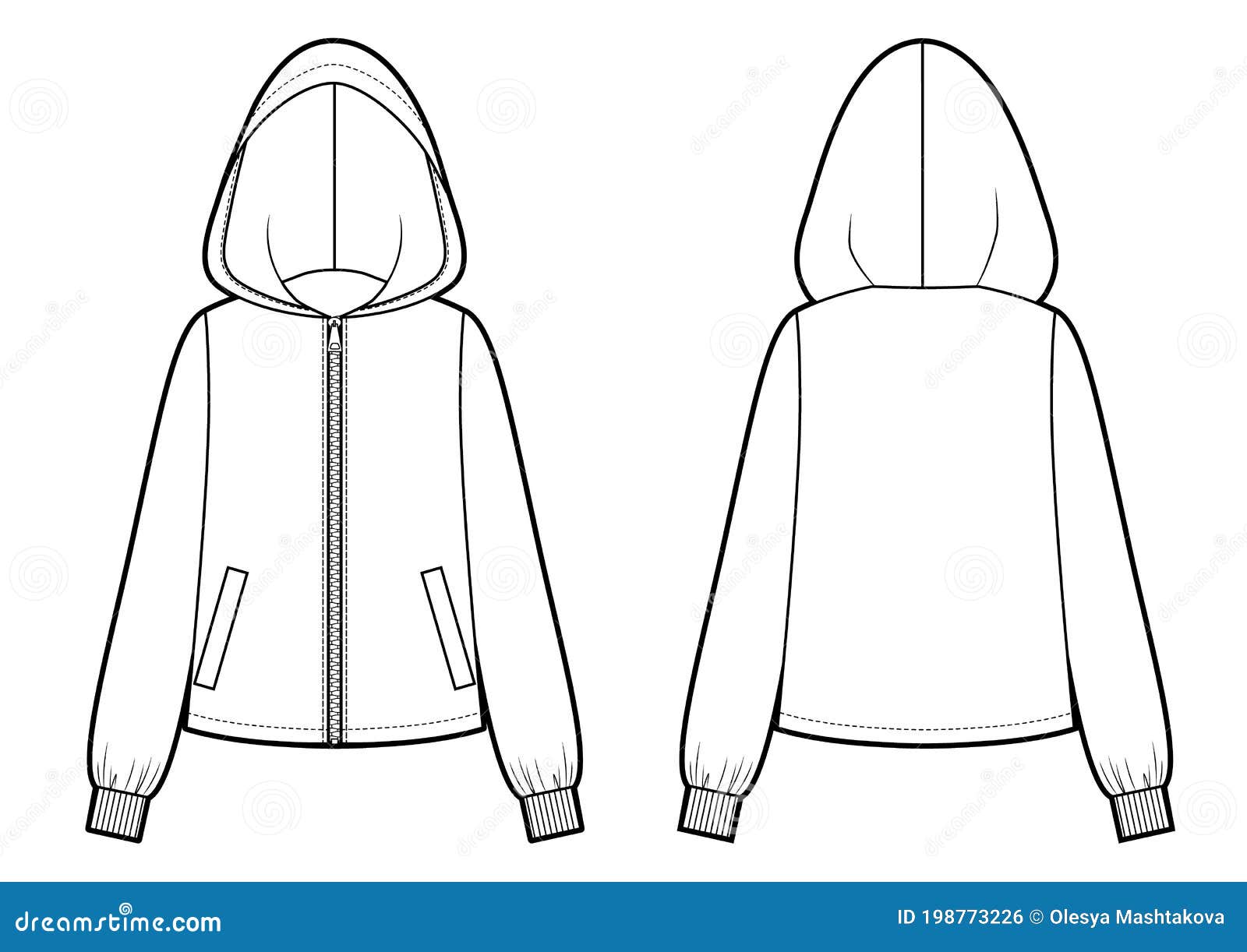 Vector Illustration of Women`s Jacket with Hood. Front and Back Stock ...