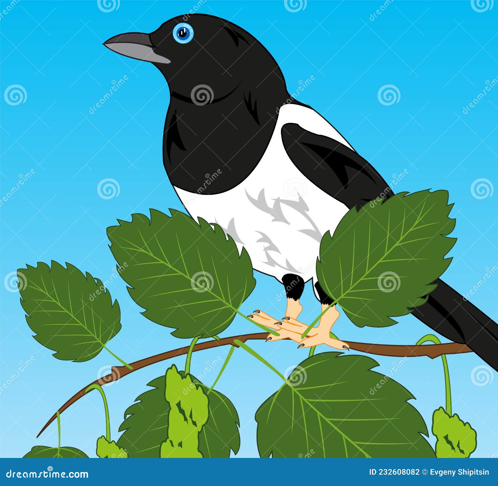 Bird Magpie Flying Cartoon Vector Animation Frame | CartoonDealer.com ...