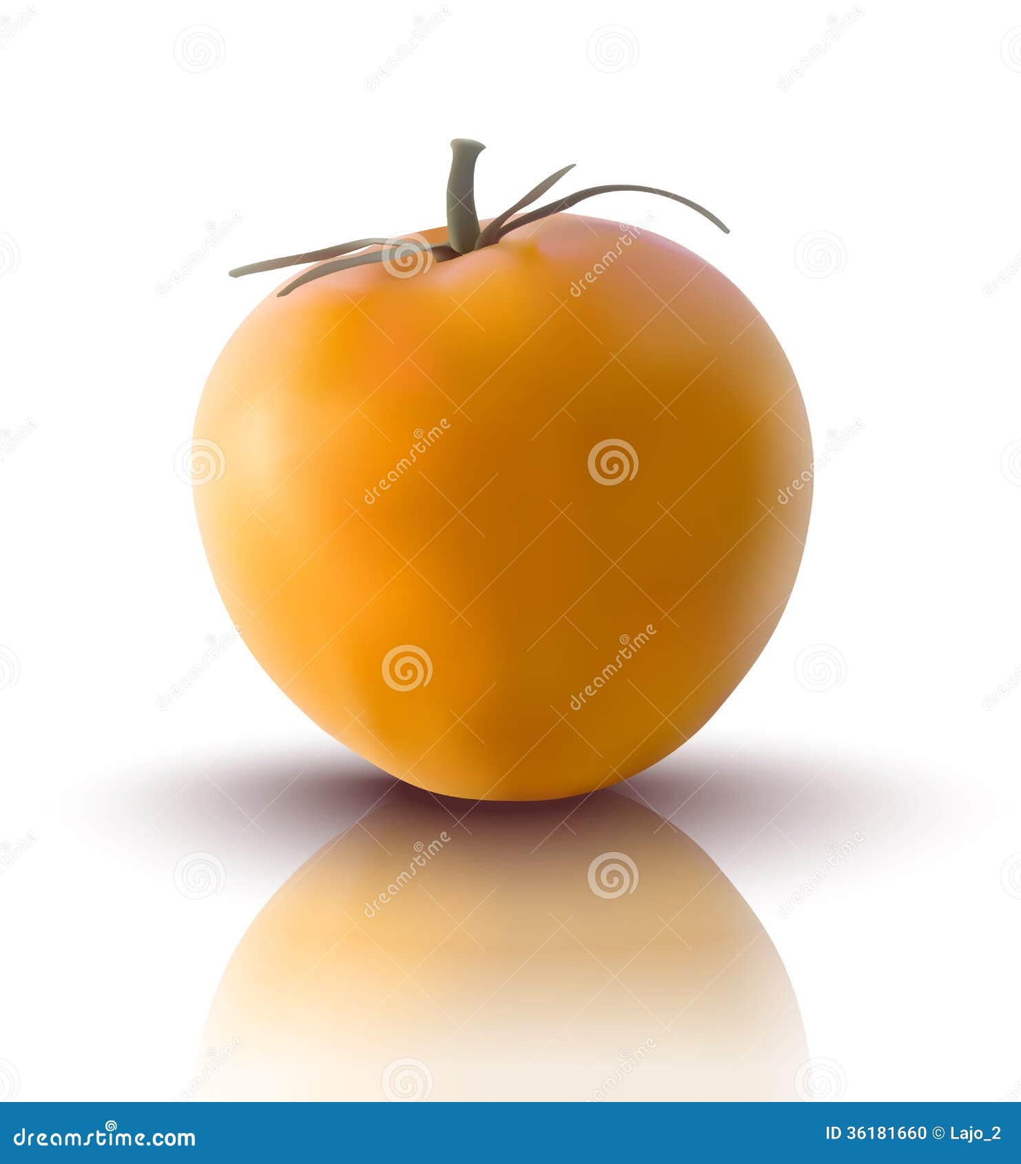 Vector Illustration of Yellow Tomato Stock Vector - Illustration of ...