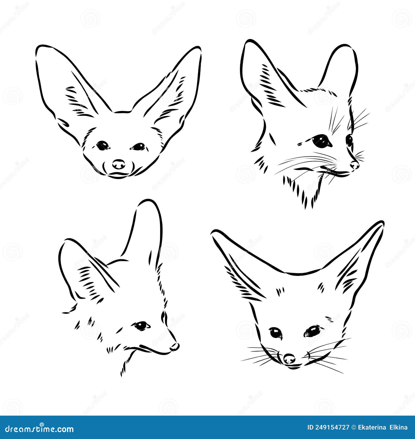 Vector Illustration of a Young Fennec Fox Walking. Fox Fenek Vector ...
