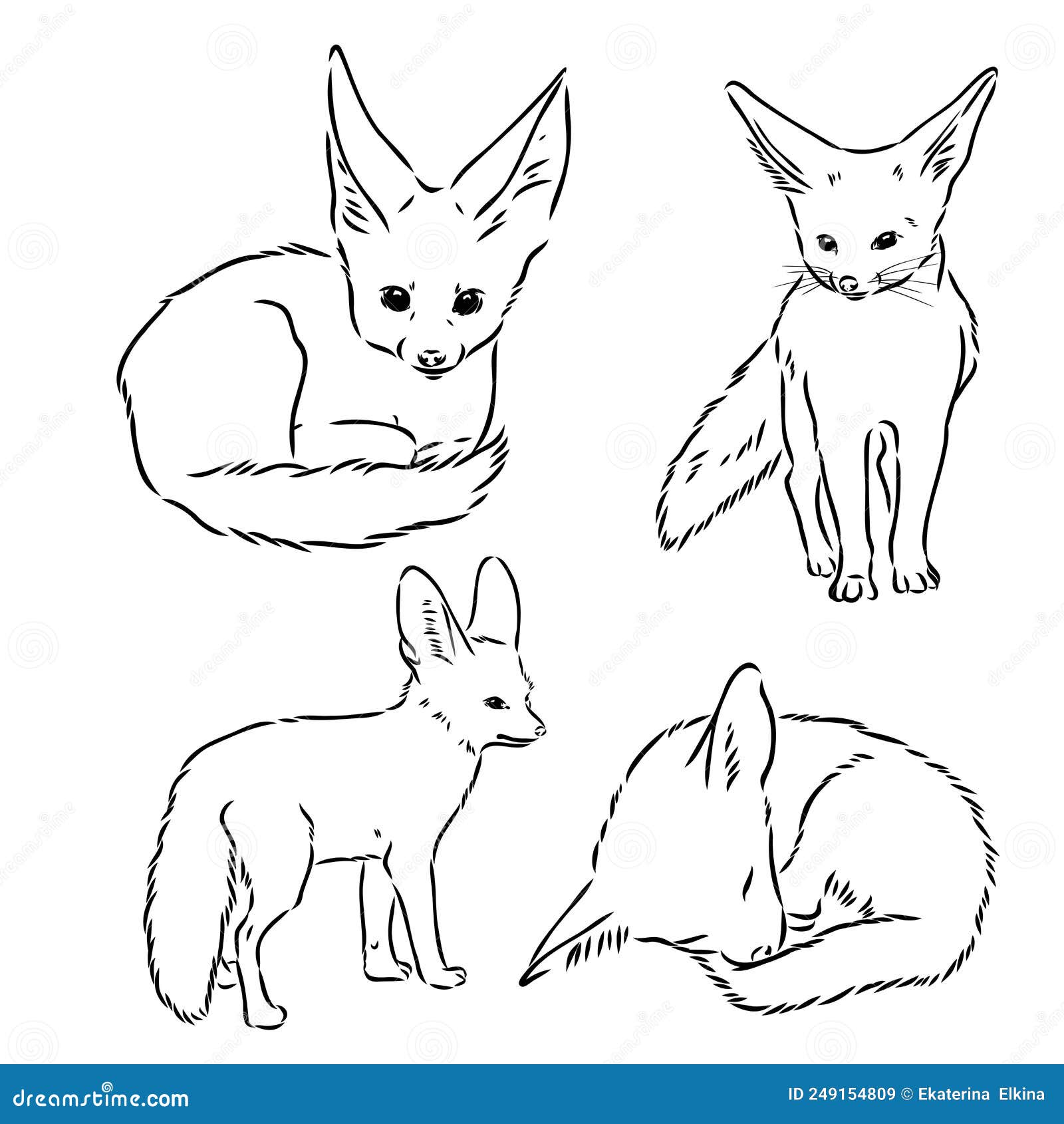 Vector Illustration of a Young Fennec Fox Walking. Fox Fenek Vector ...