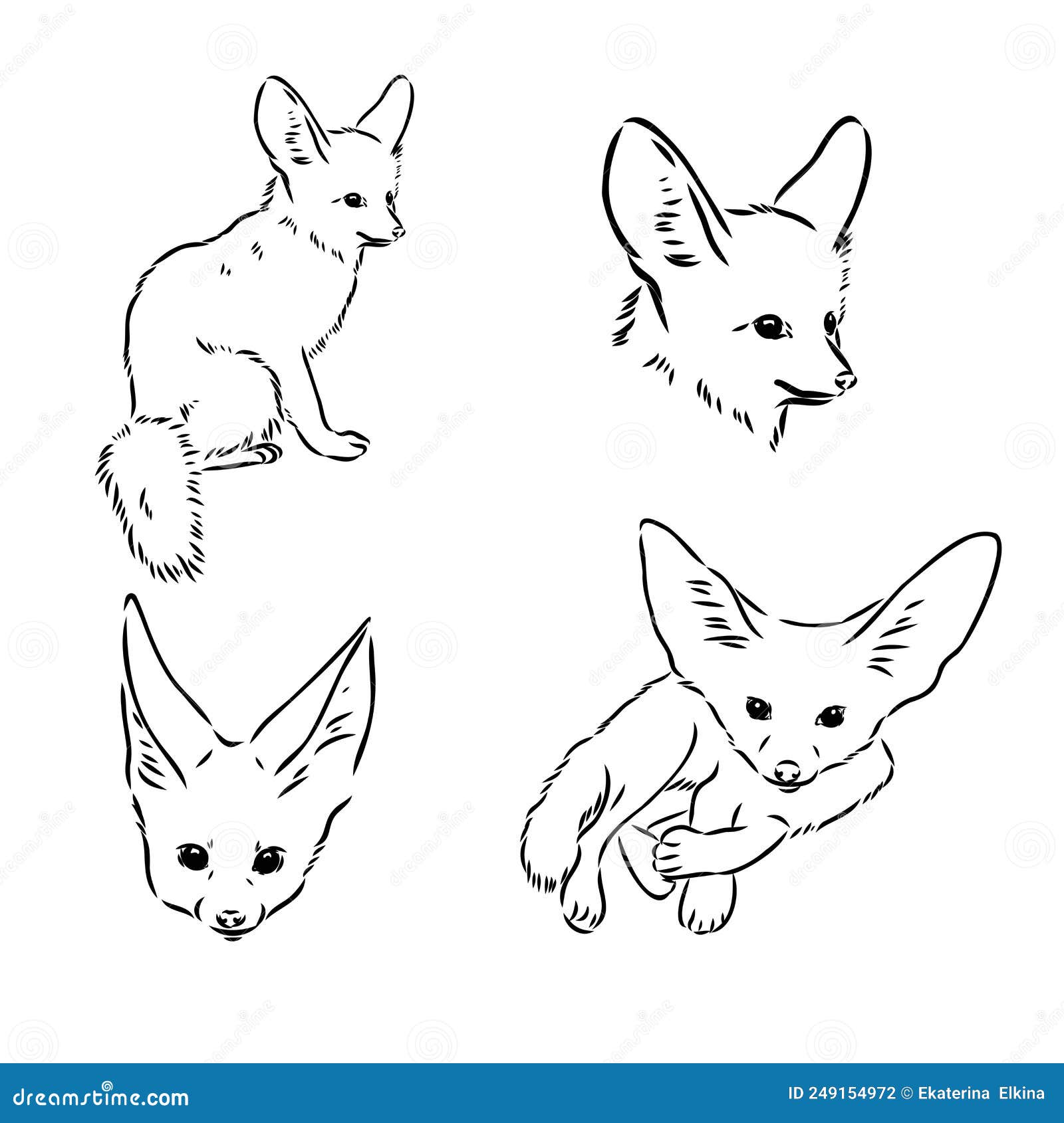 Vector Illustration of a Young Fennec Fox Walking. Fox Fenek Vector ...