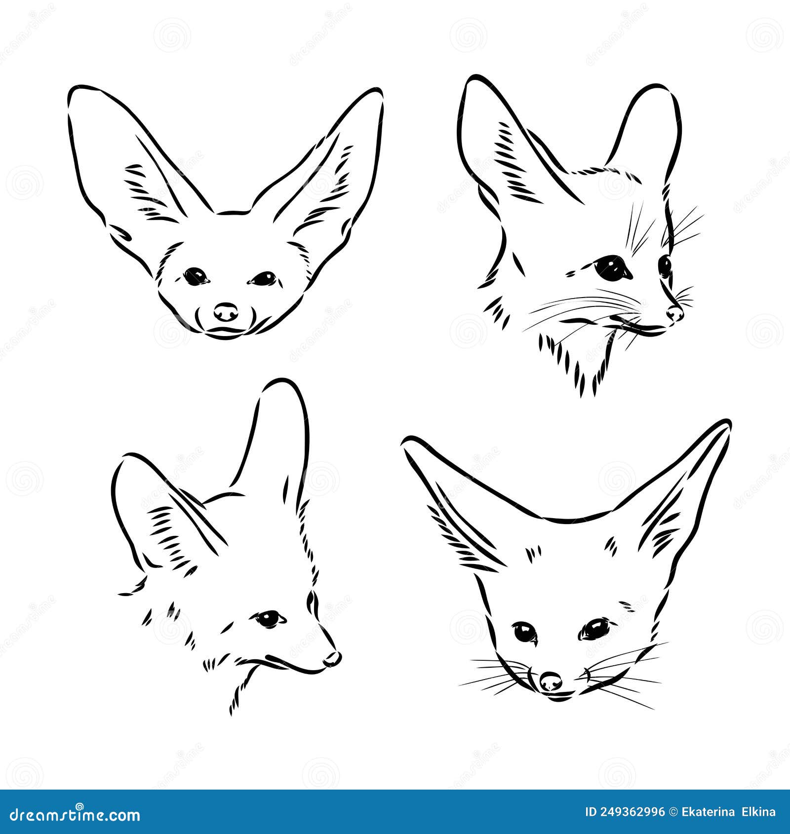 Vector Illustration of a Young Fennec Fox Walking. Fox Fenek Vector ...