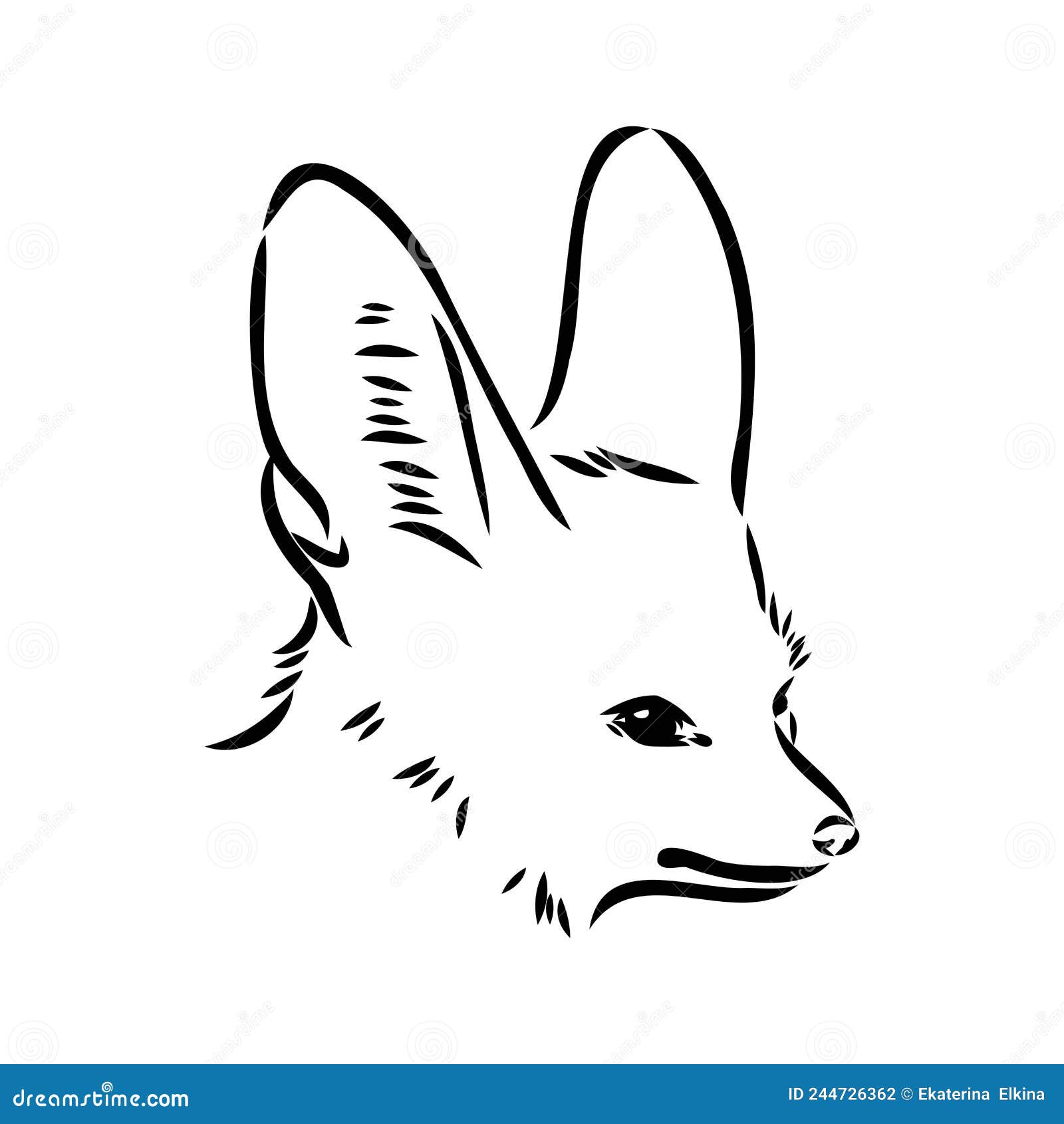 Vector Illustration of a Young Fennec Fox Walking. Fox Fenek Vector ...