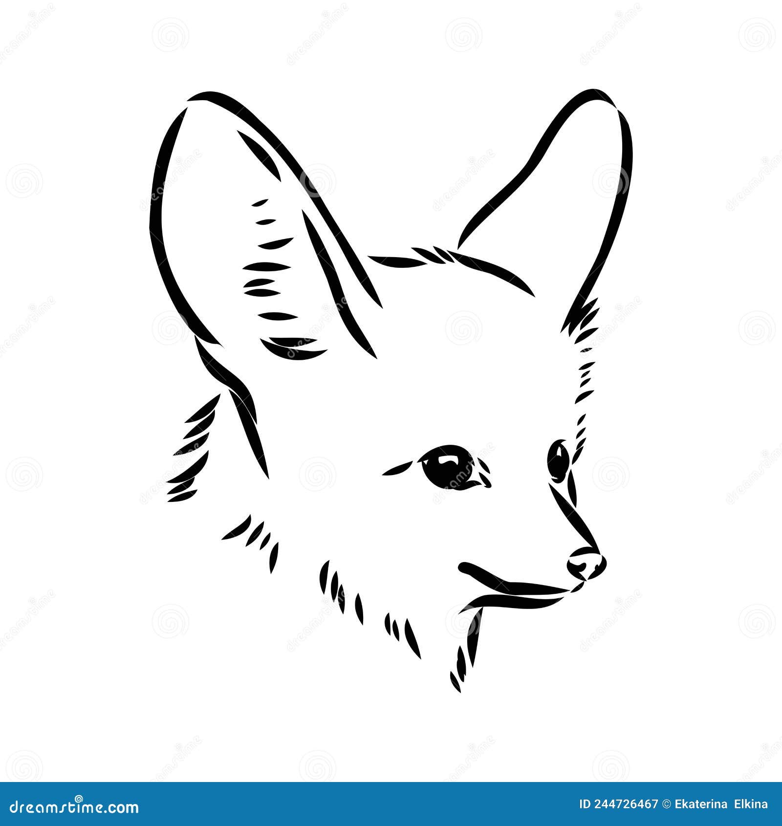 Vector Illustration of a Young Fennec Fox Walking. Fox Fenek Vector ...