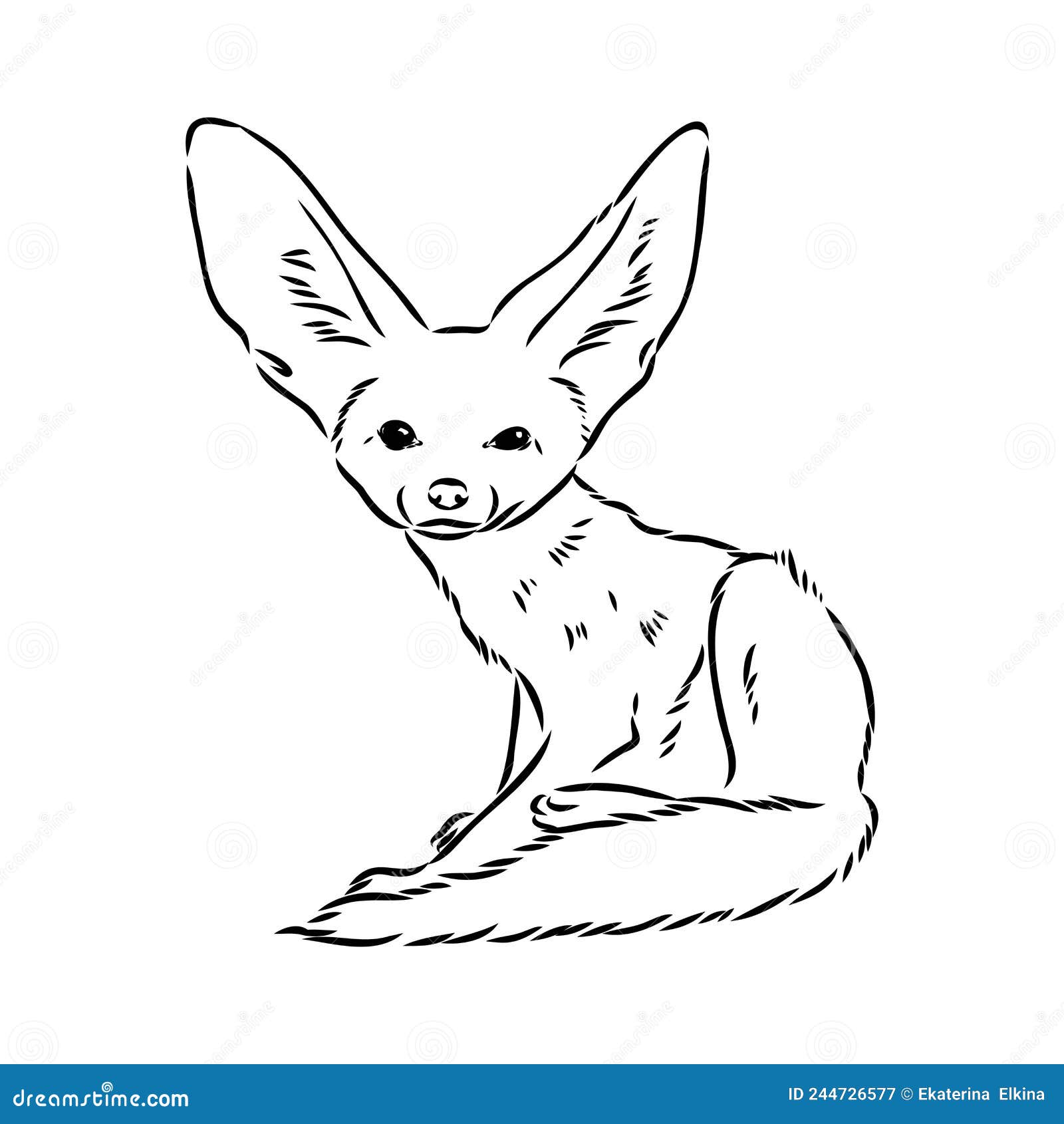Vector Illustration Of A Young Fennec Fox Walking. Fox Fenek Vector ...
