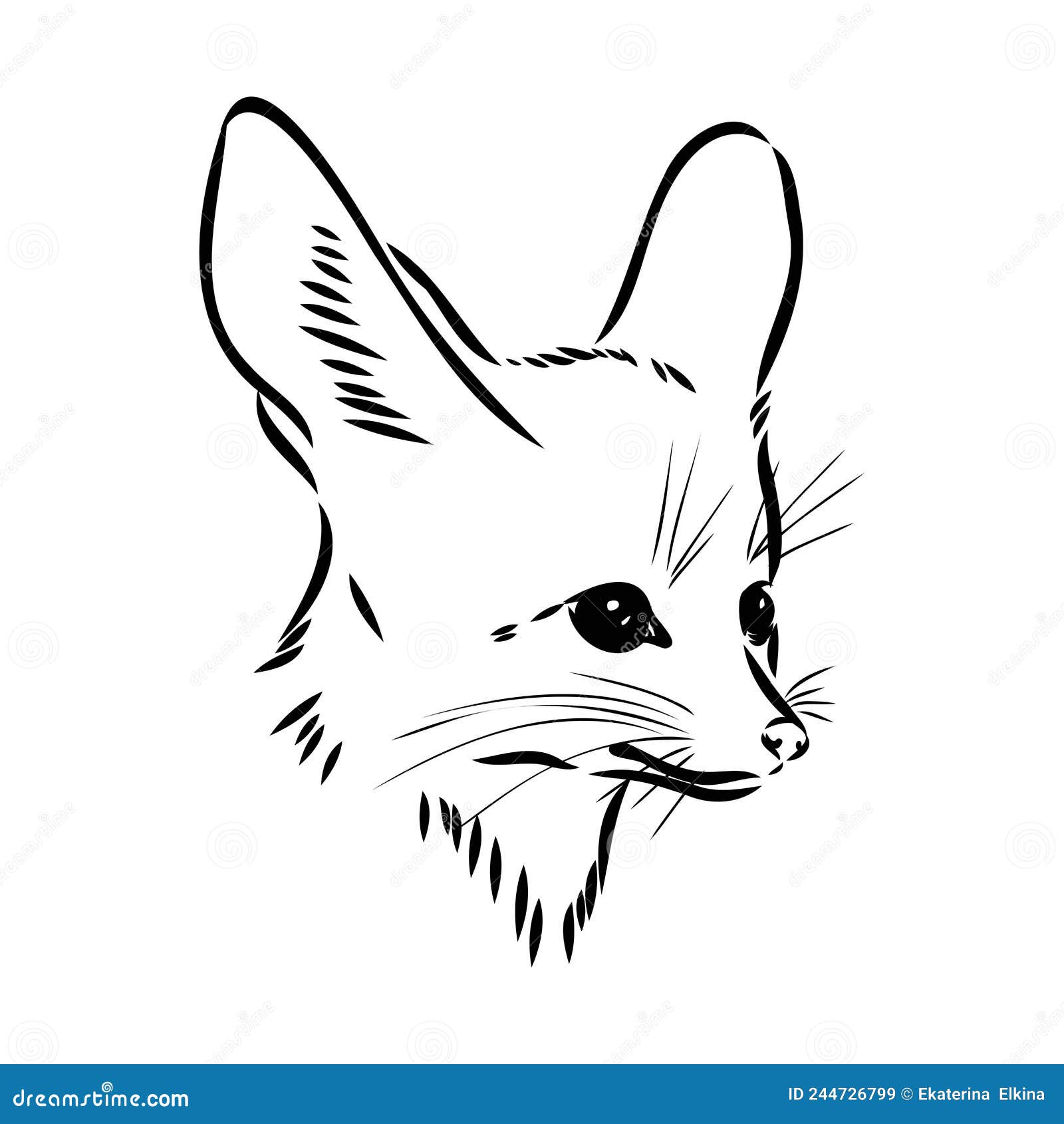 Vector Illustration of a Young Fennec Fox Walking. Fox Fenek Vector ...