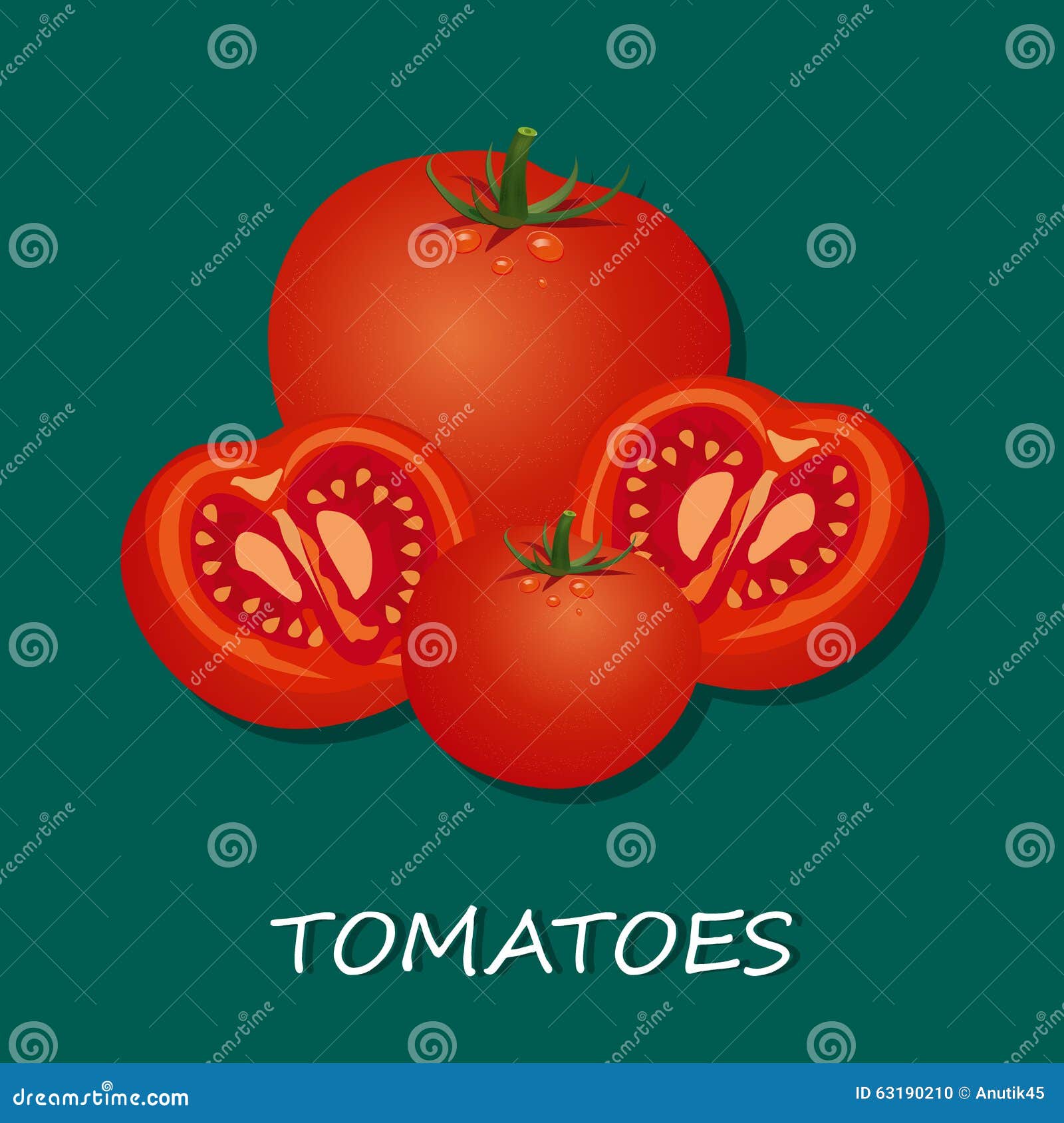Vector Illustrations of Fresh Tomatoes, Banner, Template Stock Vector ...
