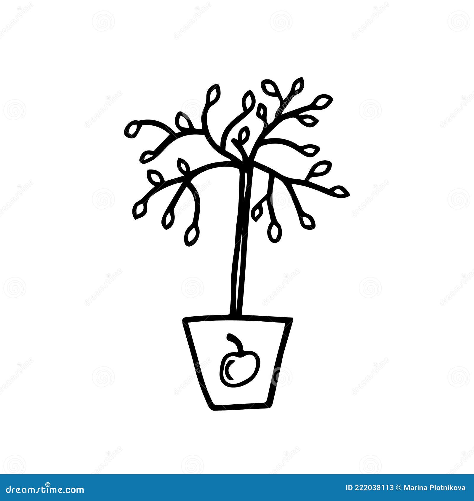 Vector Illustrations Seedling Apple Trees, Hand Drawn, Doodle Stock ...