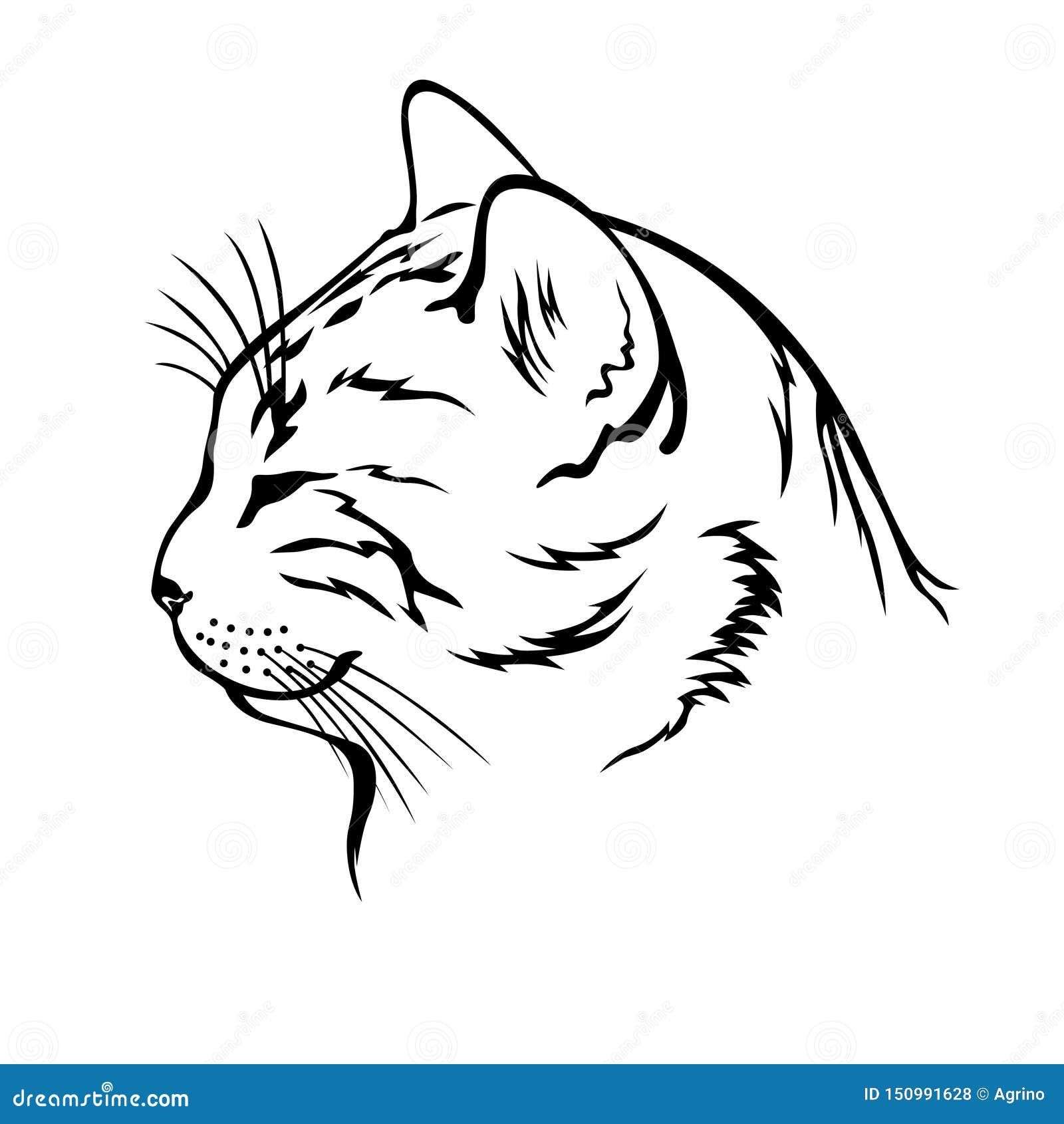 Sleeping cat contour head stock vector. Illustration of isolated ...
