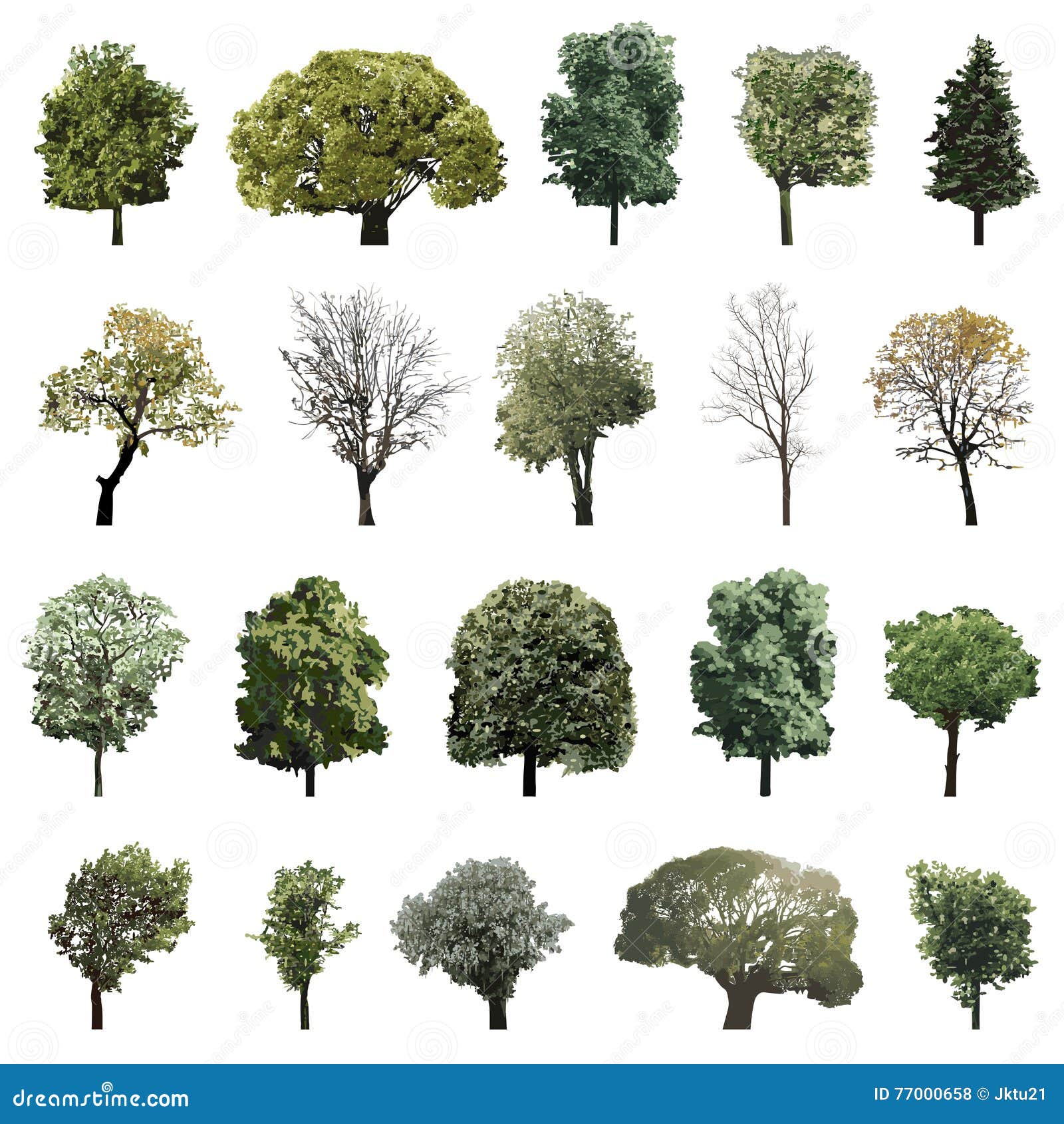 Vector illustrations trees stock vector. Illustration of tree - 77000658