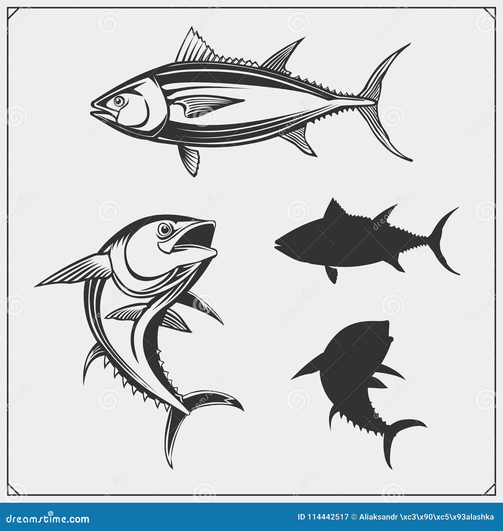 Vector Illustrations of Tuna. Stock Vector - Illustration of graphic ...