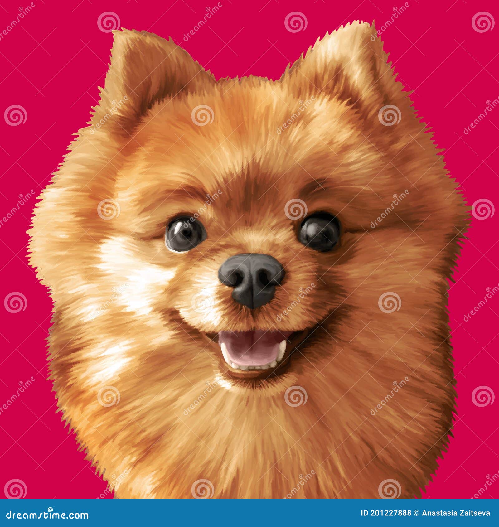 Vector Spitz Dog Sketch. Spitz Vector Sketch | CartoonDealer.com #218146534