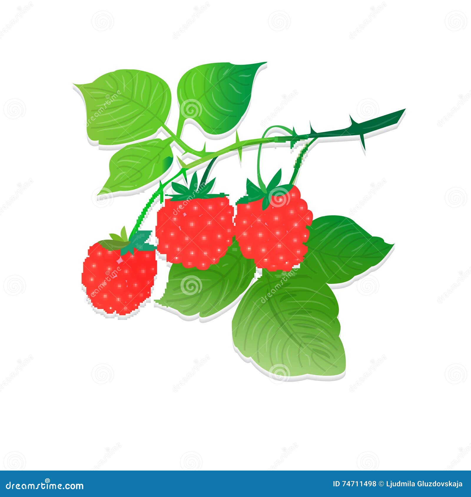 Vector Illustrator of Berries Stock Vector - Illustration of berry ...